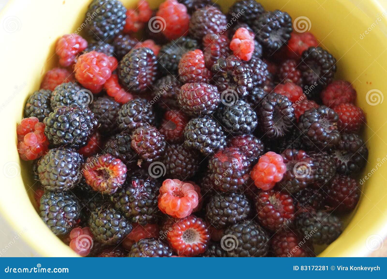 Berries of Black and Red Raspberries Stock Image - Image of beautiful ...