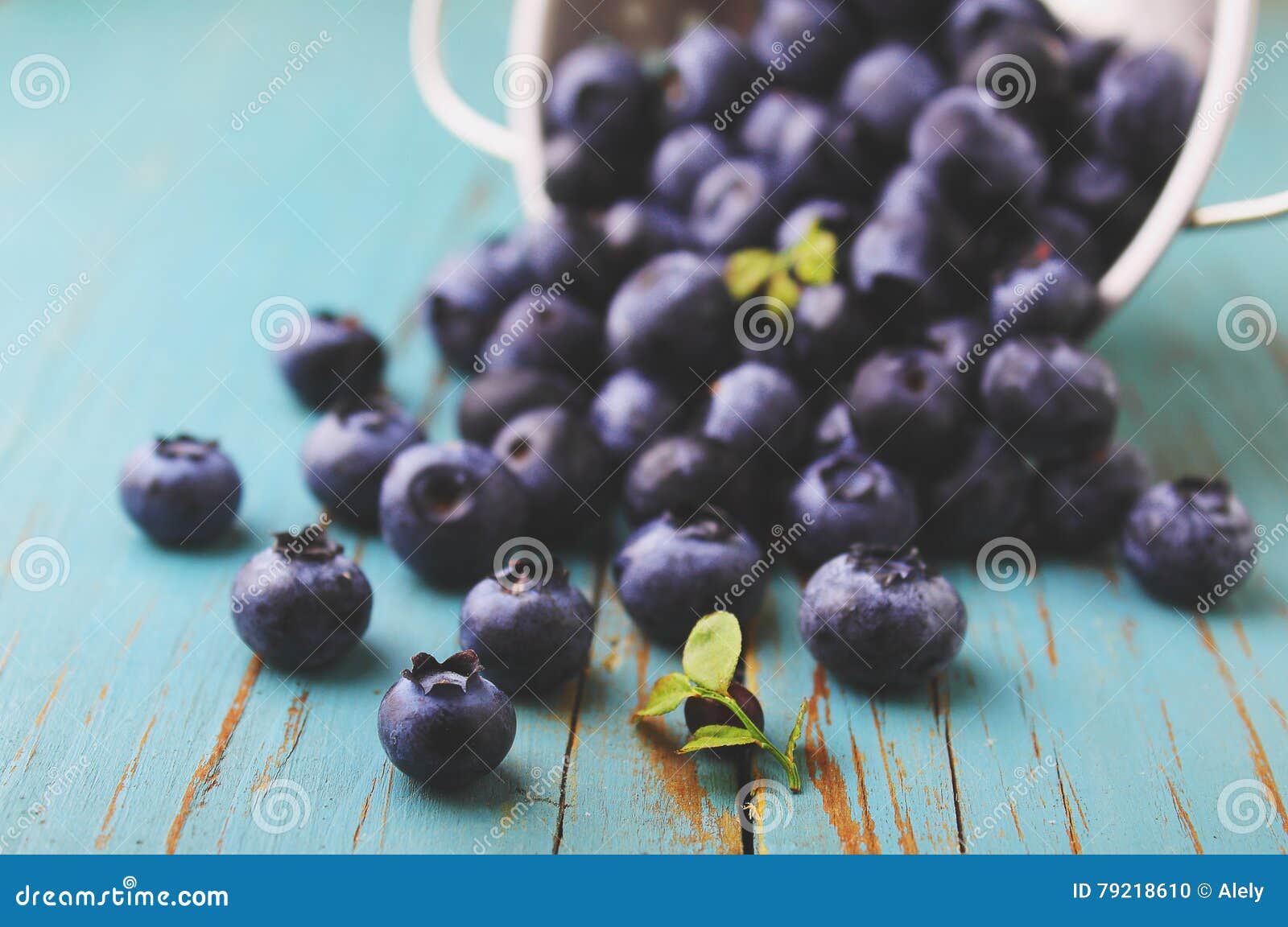 Berries Blueberries(bilberry) Stock Photo - Image of bilberry ...