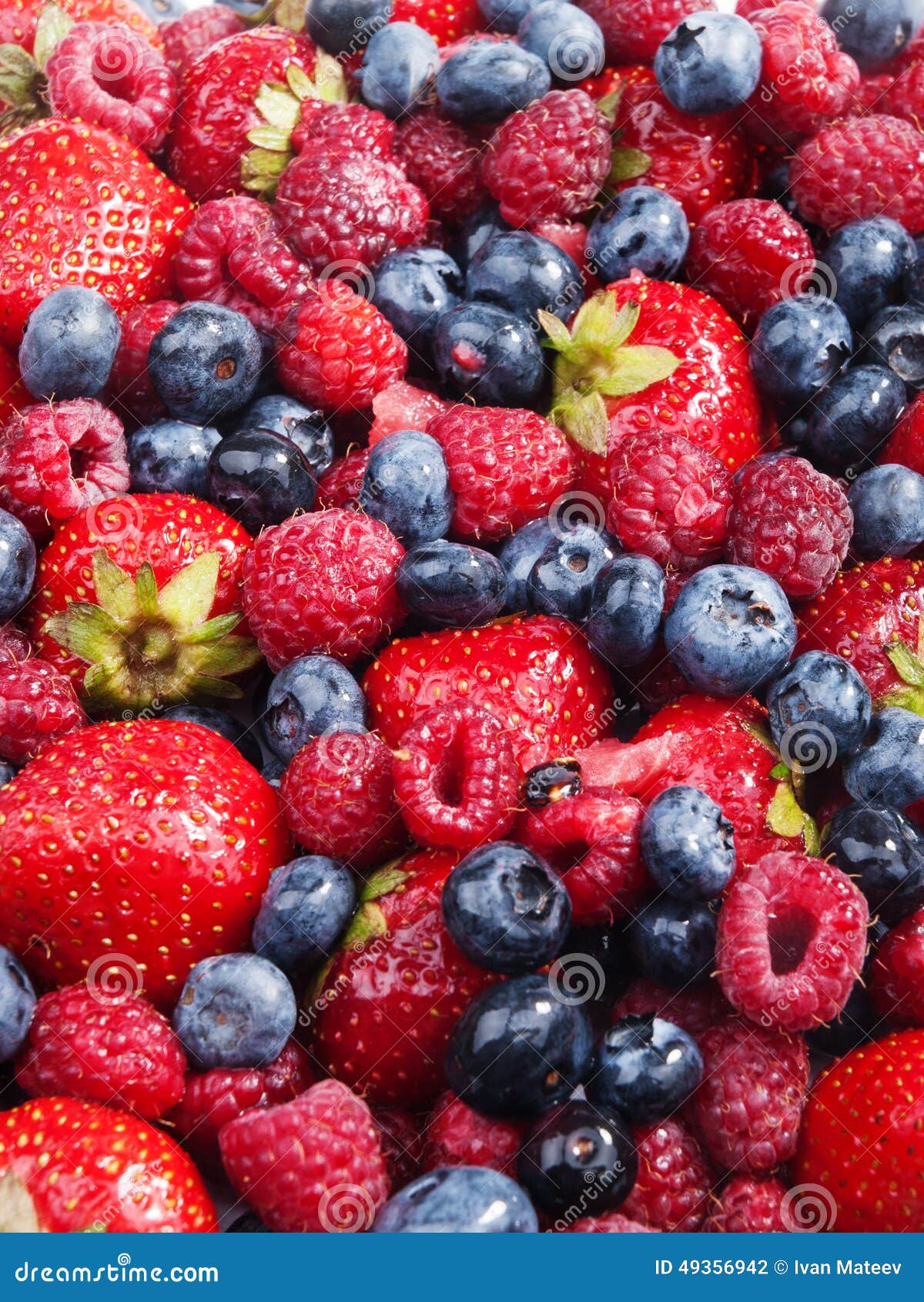 Berries stock photo. Image of closeup, ripe, raspberry - 49356942