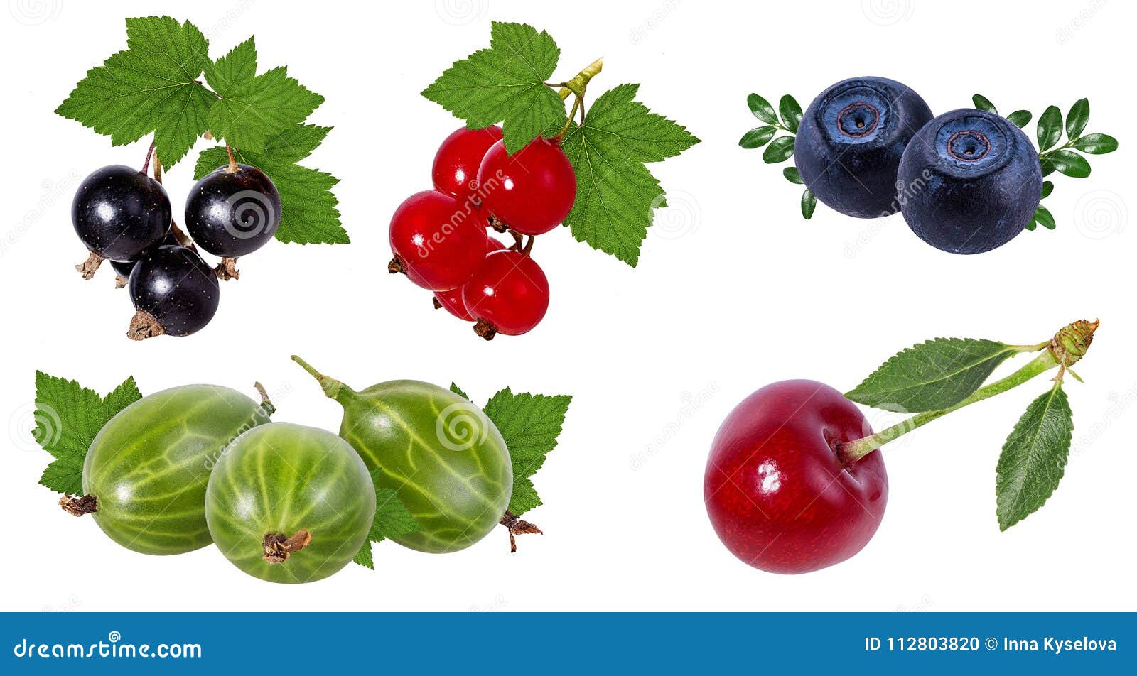 Berries Collection Isolated Stock Photo - Image of berry, blackcurrants ...