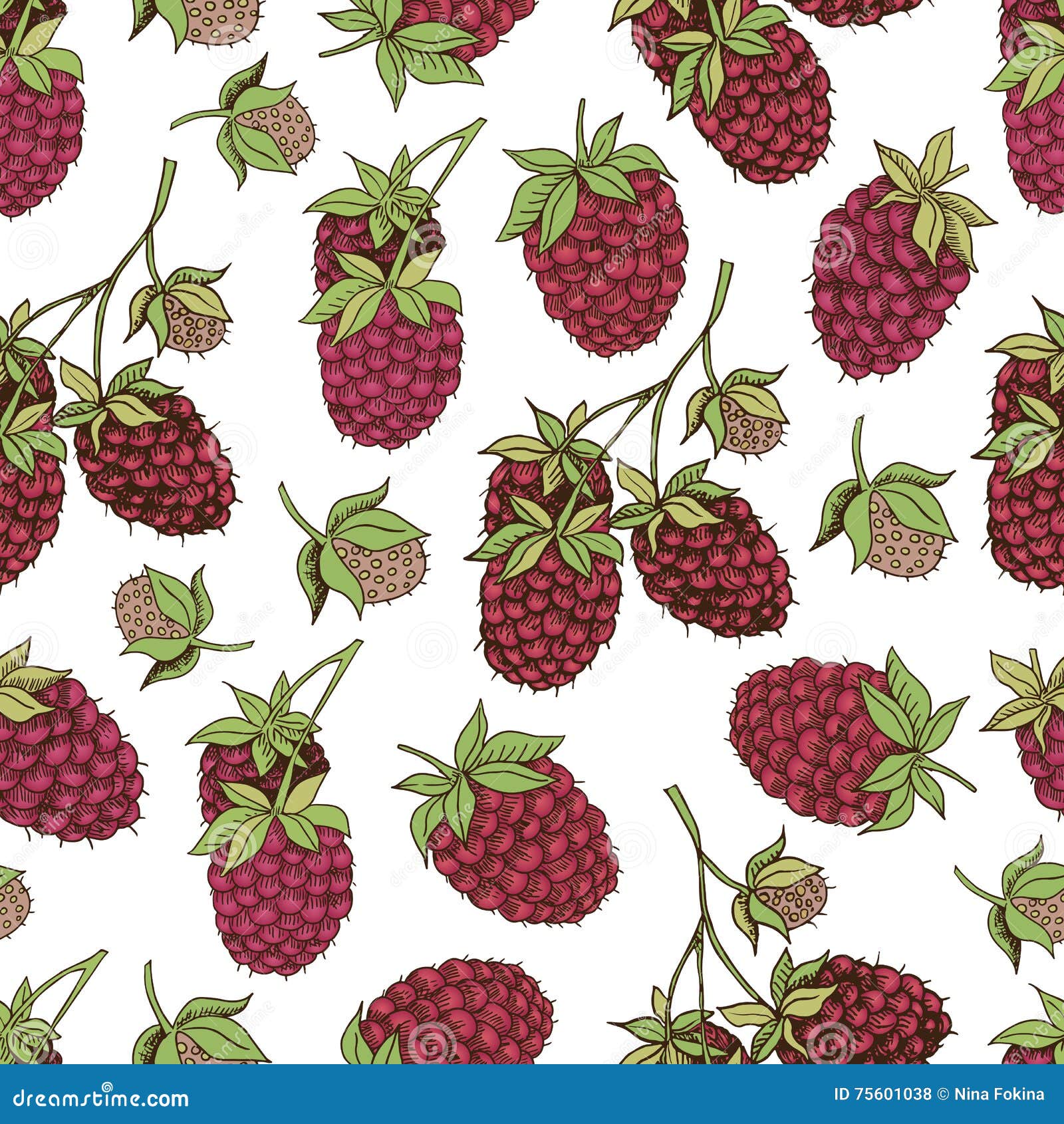 Berries collection-07 stock vector. Illustration of agriculture - 75601038