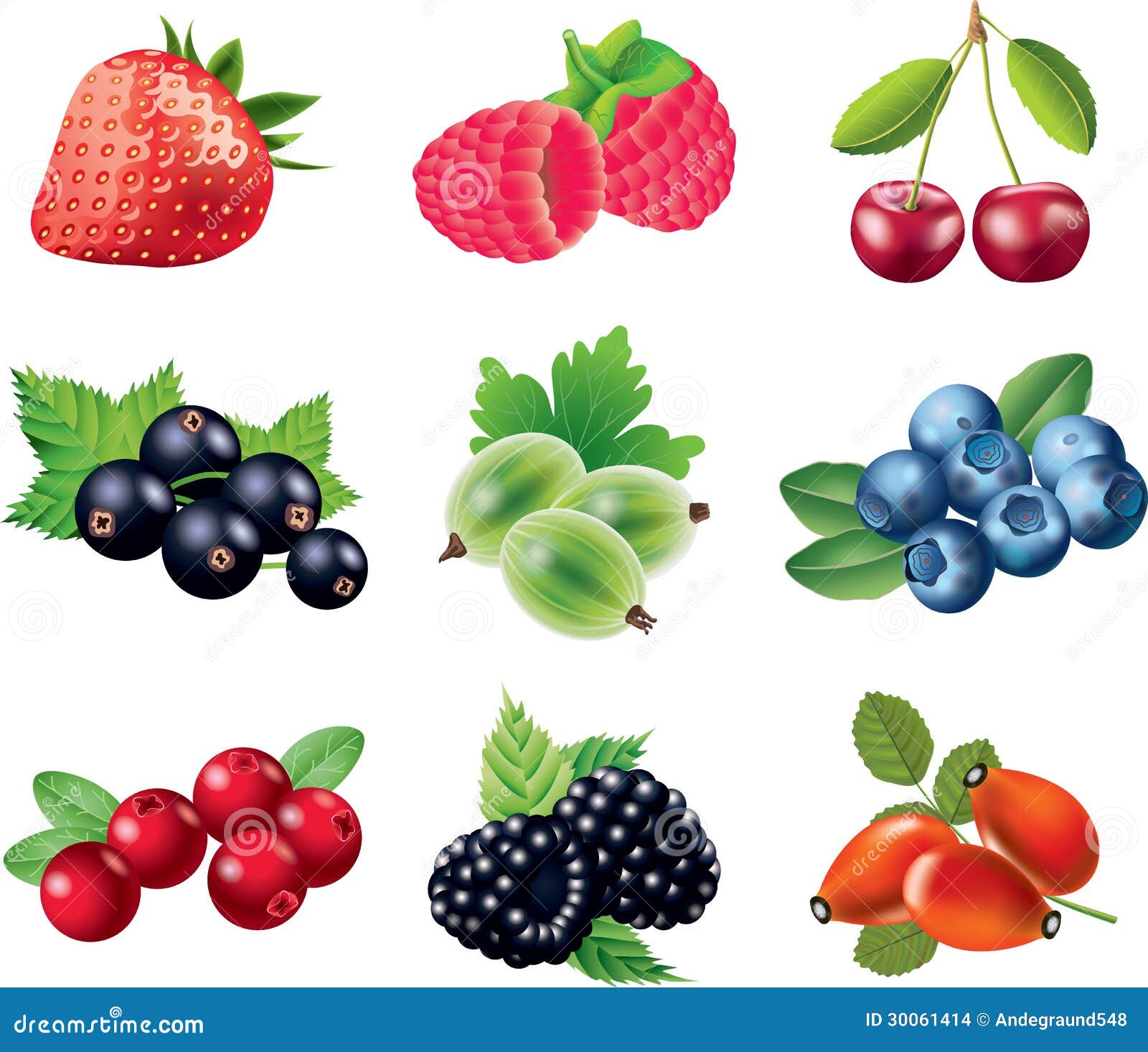 Berries Photo-realistic Set Stock Vector - Illustration of collection ...