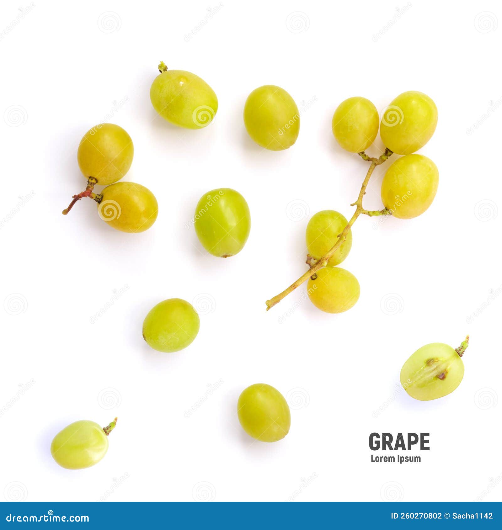 Berries of Green Grape Isolated on White Background. Stock Illustration ...