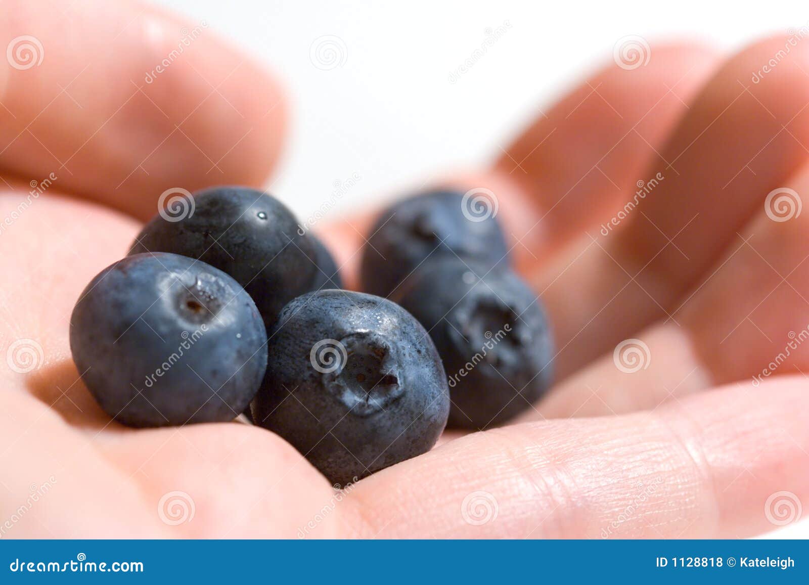 Berries in the Hand stock photo. Image of holding, palm - 1128818
