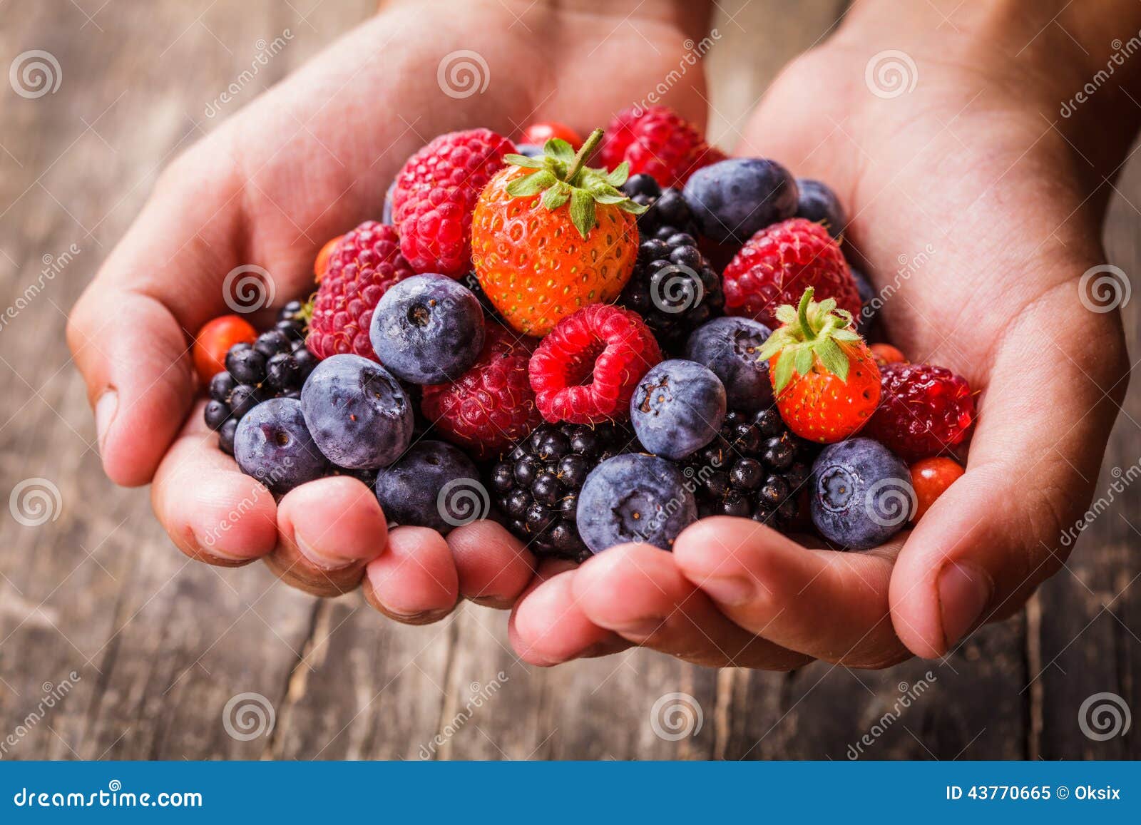 Berries in hands stock image. Image of leaf, fresh, ripe - 43770665