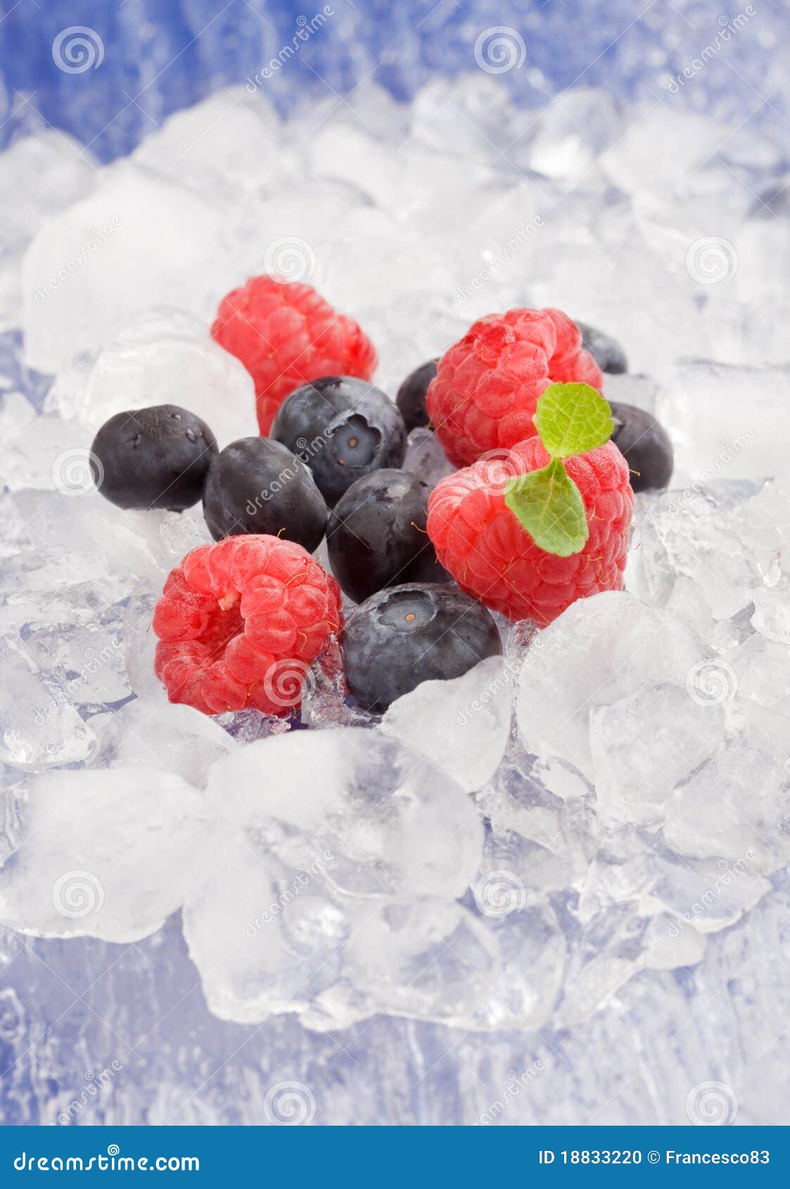 Berries on ice stock photo. Image of cold, fresh, blueberry - 18833220