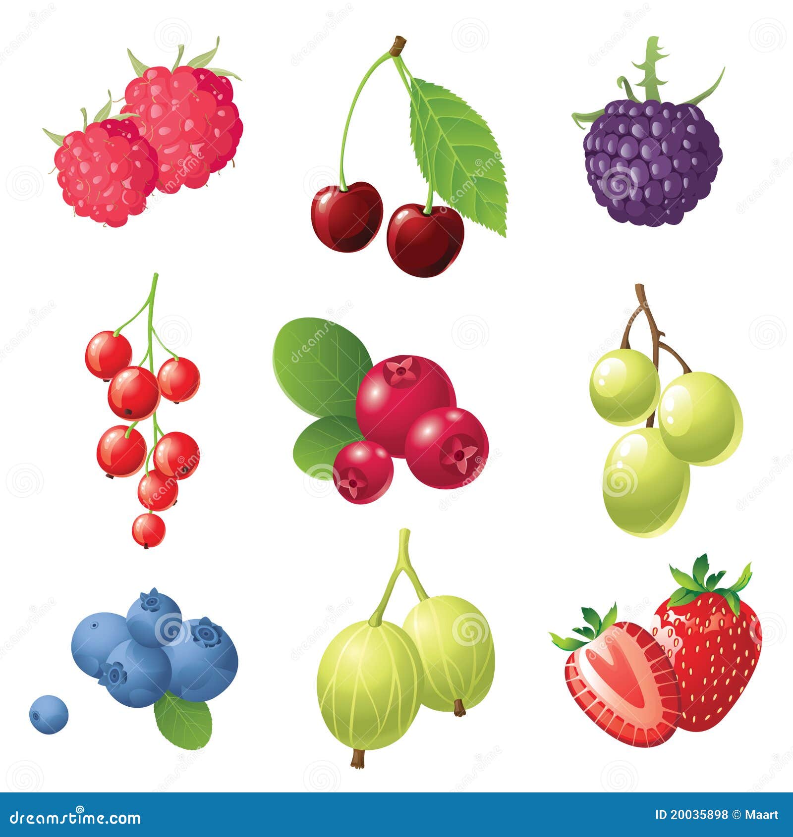 Berries icons set stock vector. Illustration of raspberries - 20035898