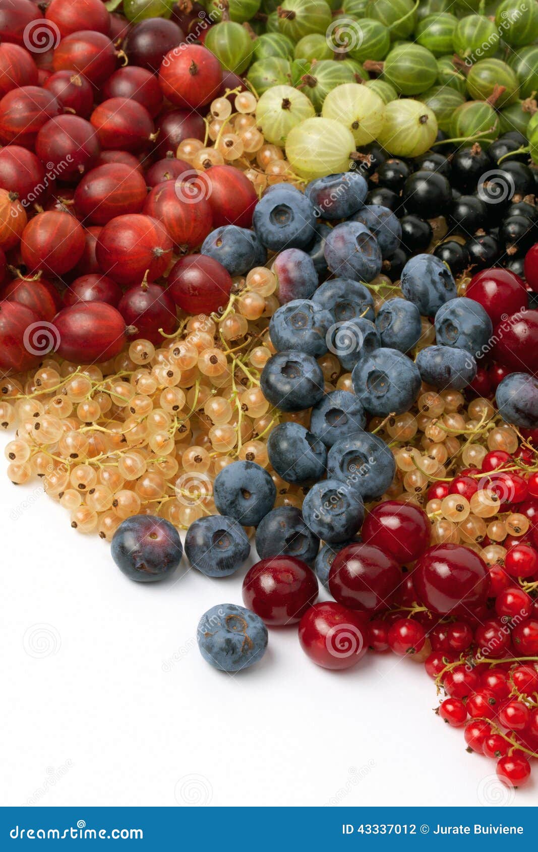 Berries stock photo. Image of menu, nutrition, ripe, green - 43337012