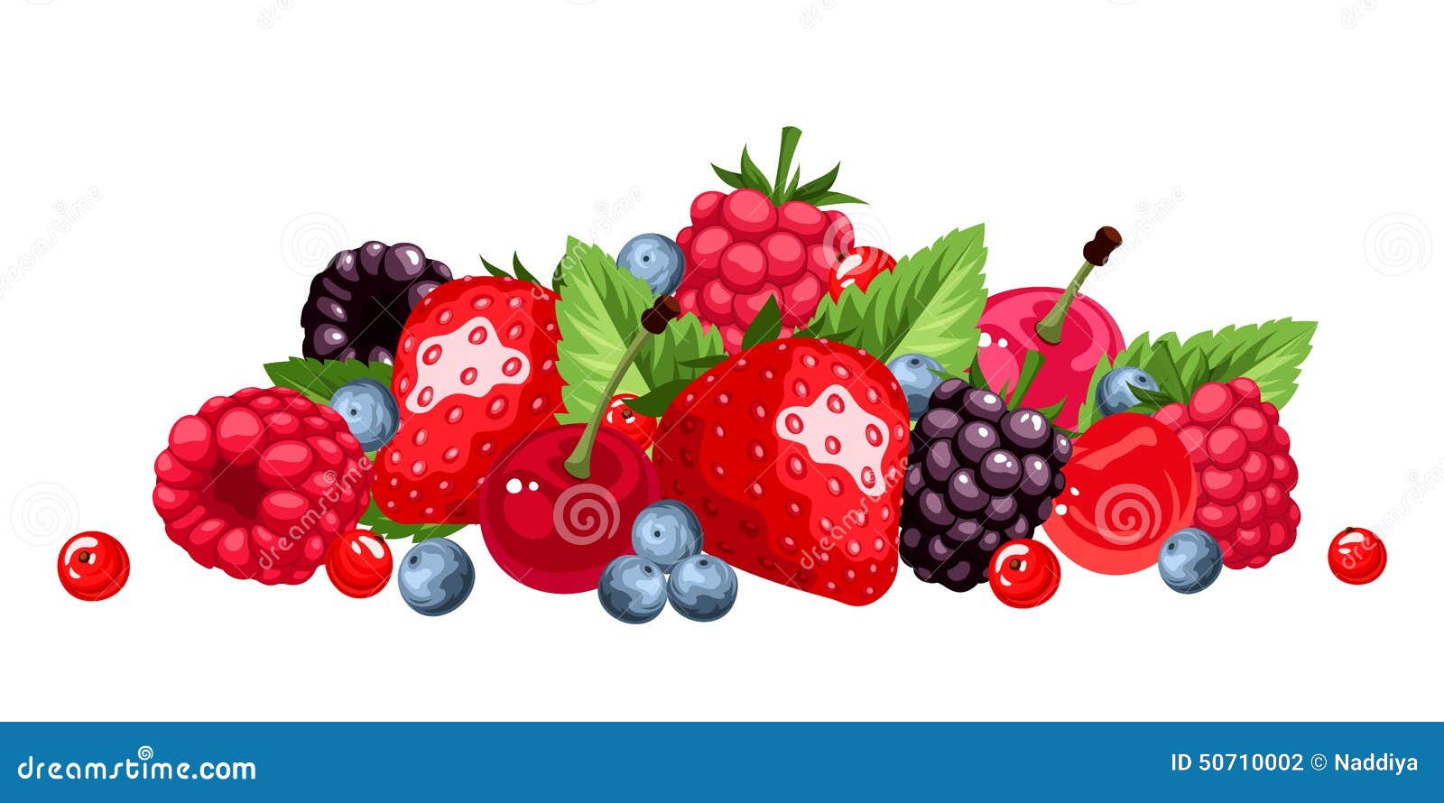 Berries Isolated on White. Vector Illustration. Stock Vector ...