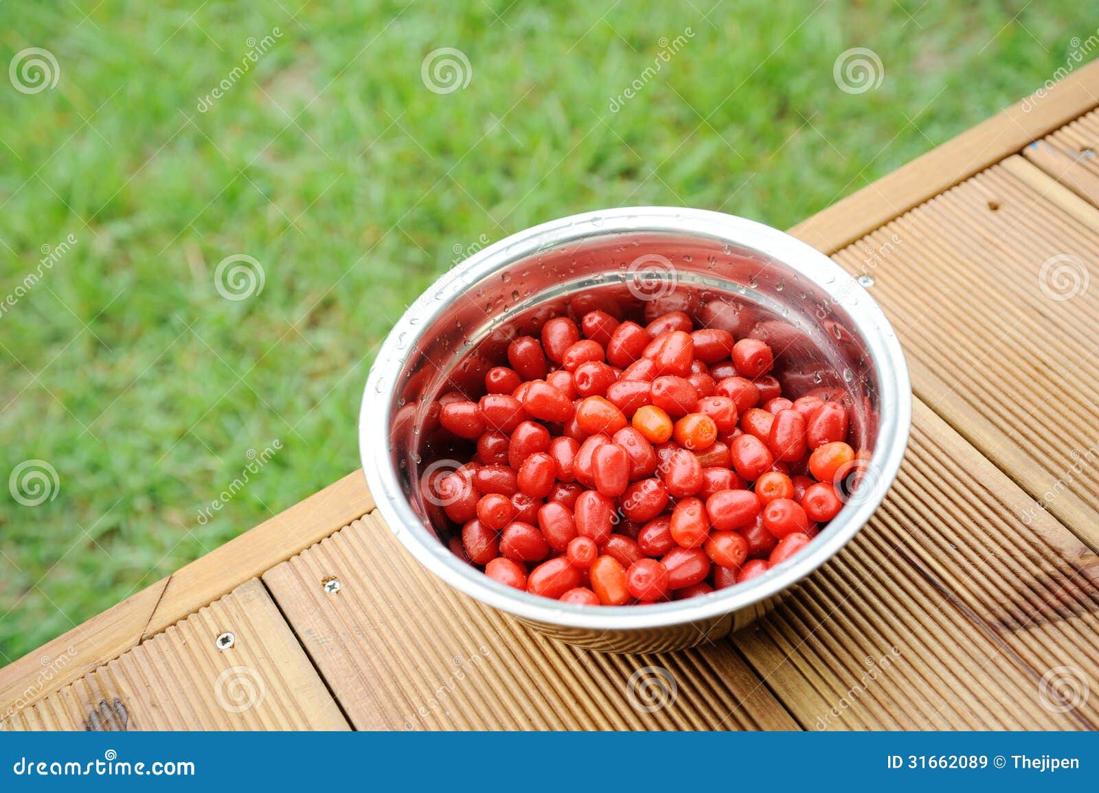 Berries of linden tree stock image. Image of produce - 31662089