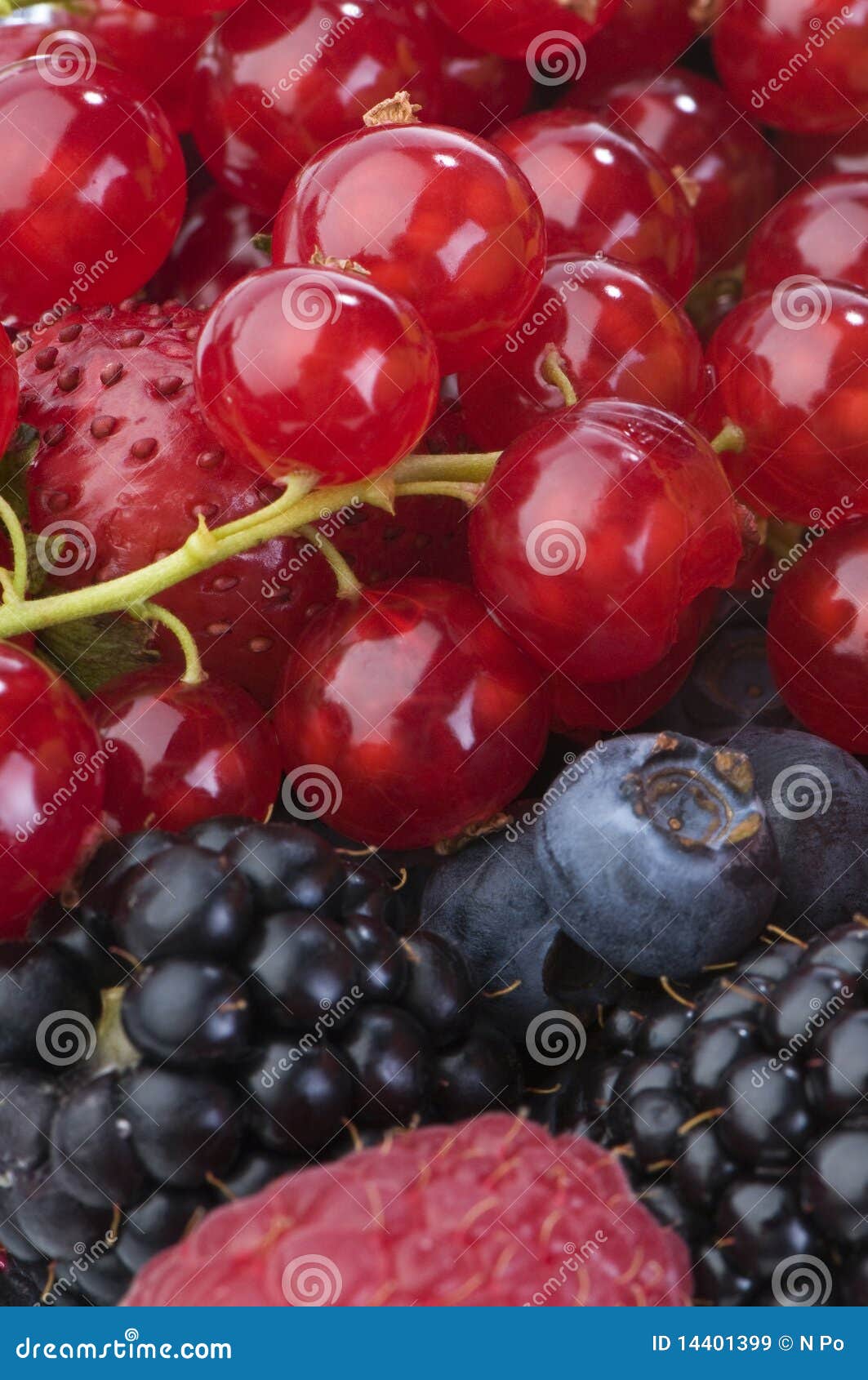 Berries macro shot stock image. Image of strawberry, dessert - 14401399