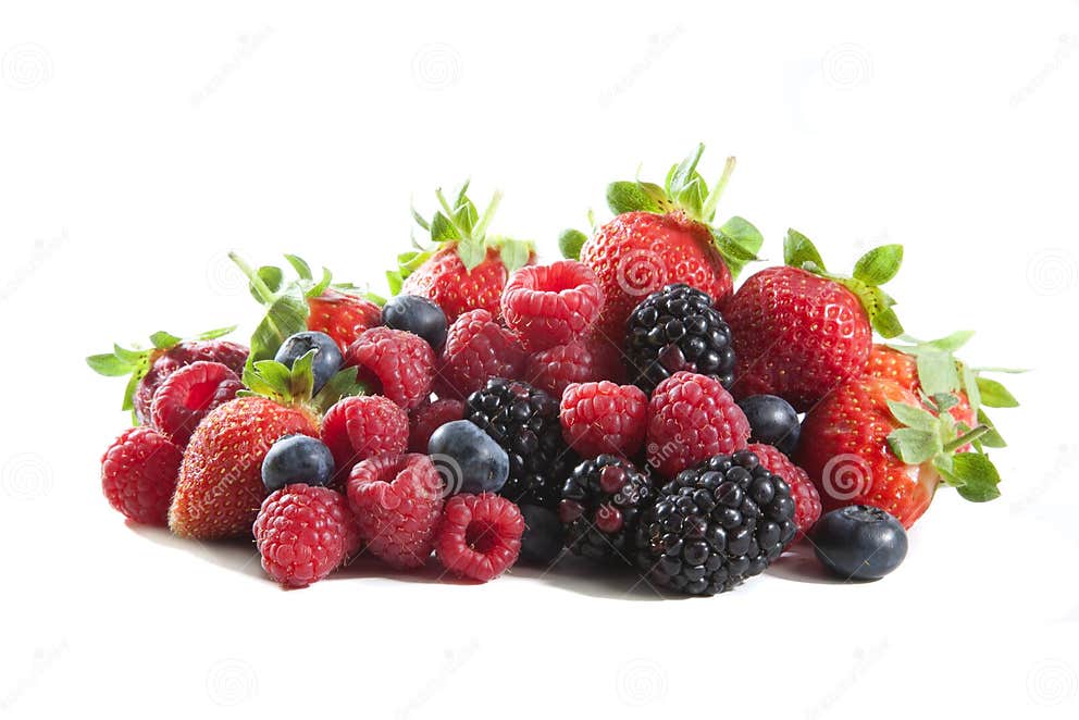 Berries mix stock photo. Image of healthy, mulberry, berries - 16769854