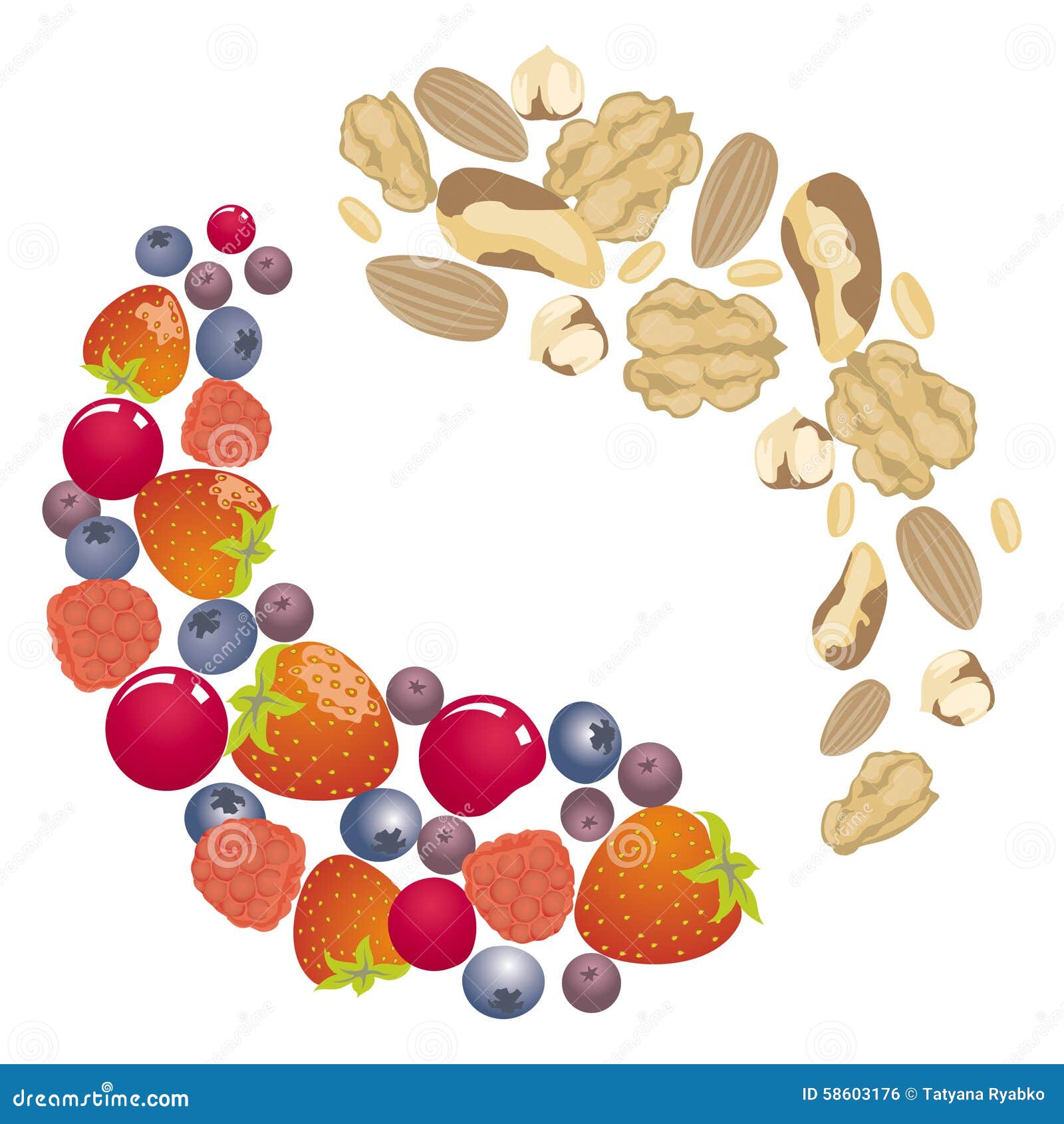 Berries and nuts stock illustration. Illustration of vector - 58603176