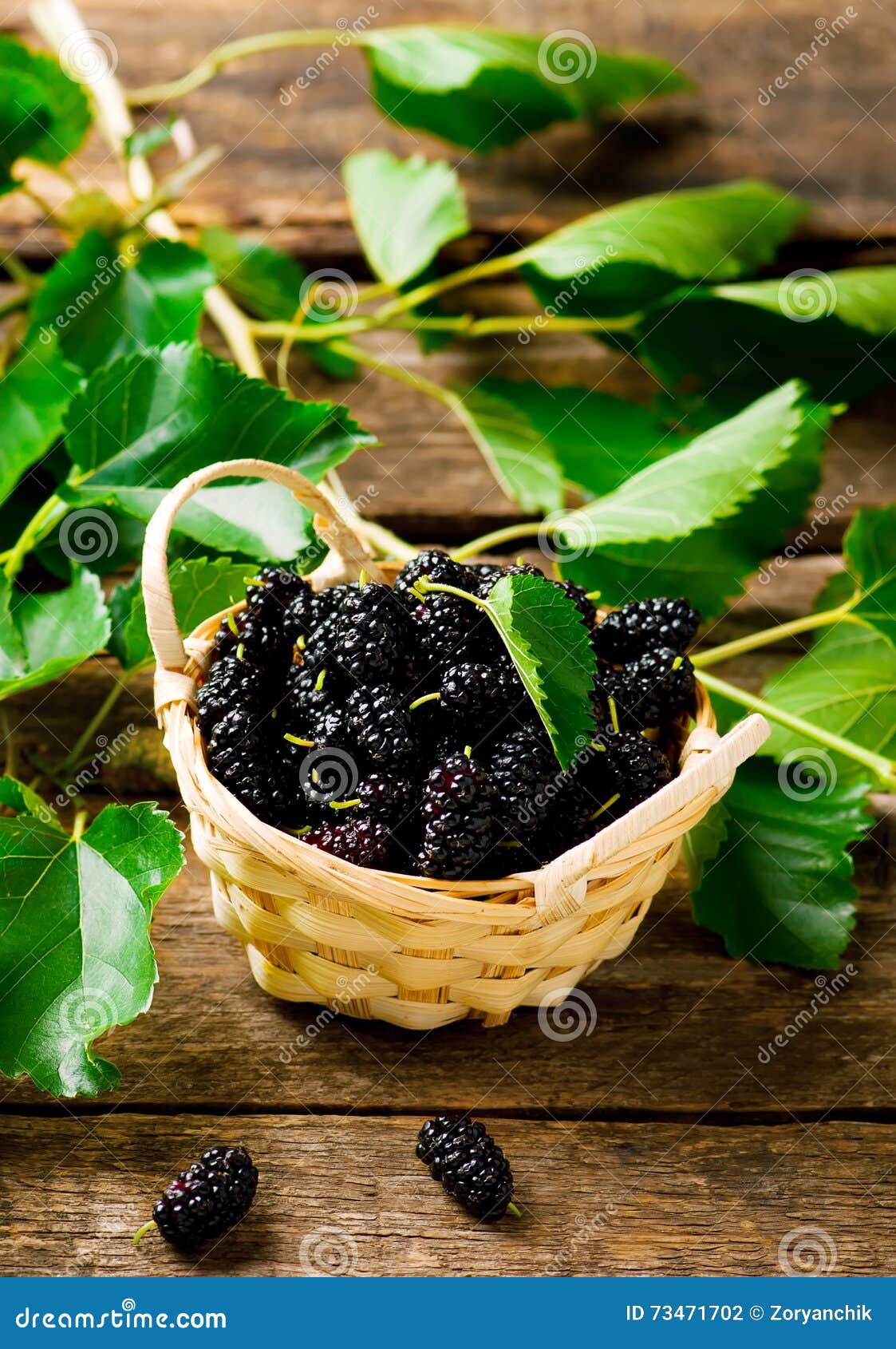 The Berries of an Organic Mulberry Stock Photo - Image of wooden ...