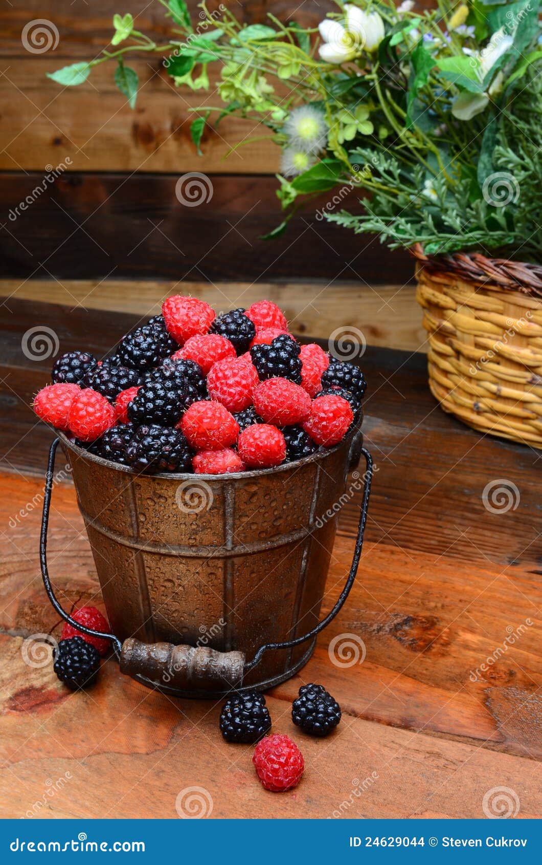 Berries in Pail on Rustic Wooden Table Stock Photo - Image of bucketful ...
