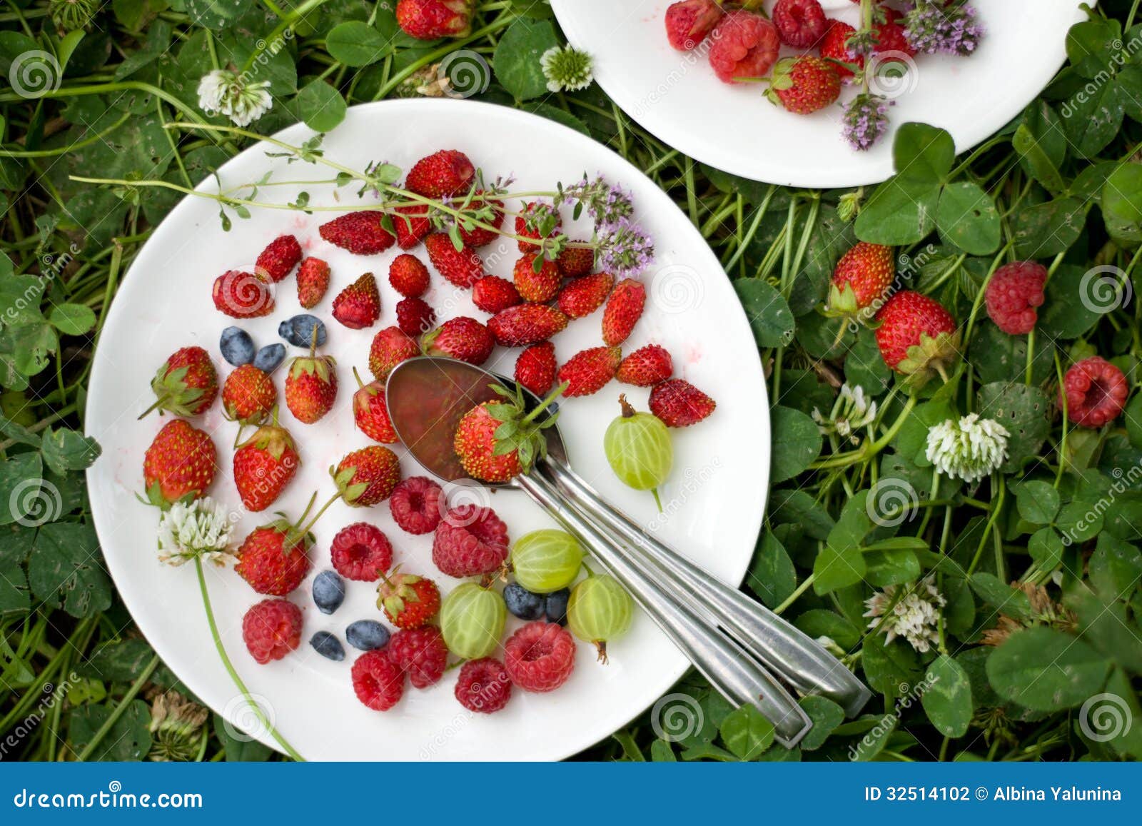 Berries in a plate stock photo. Image of diet, plate - 32514102