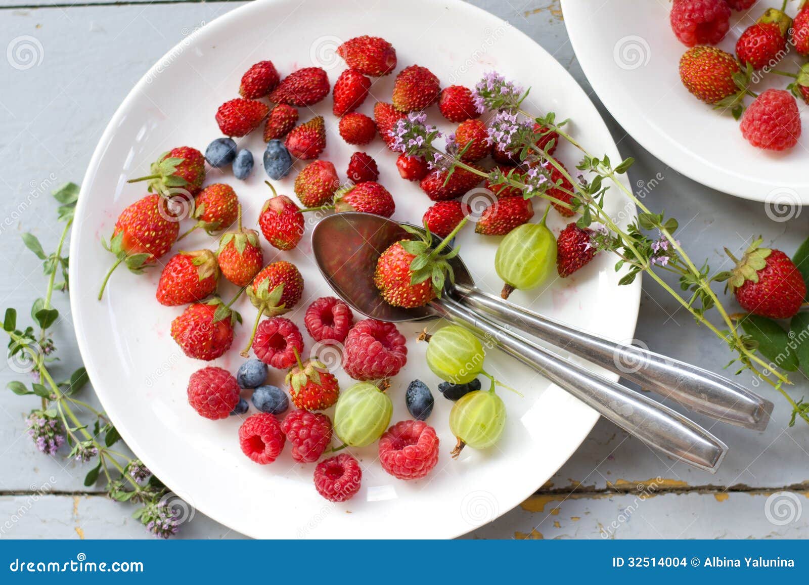 Berries in a plate stock photo. Image of fresh, gooseberry - 32514004