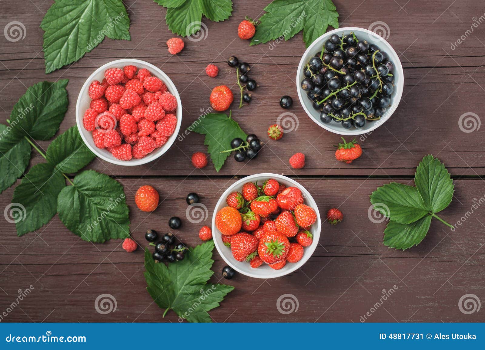 Berries in Plates on the Table Stock Image - Image of fruit, fresh ...