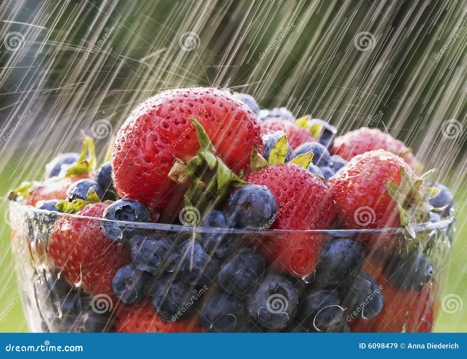 Berries in the Rain stock image. Image of summer, water - 6098479