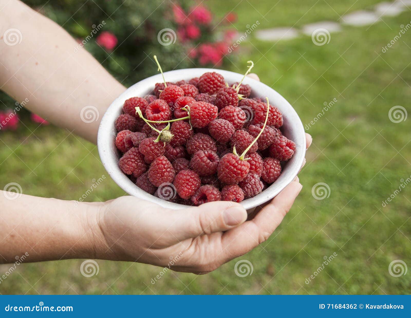 Berries Raspberries in Bowl Stock Photo - Image of breakfast, food ...