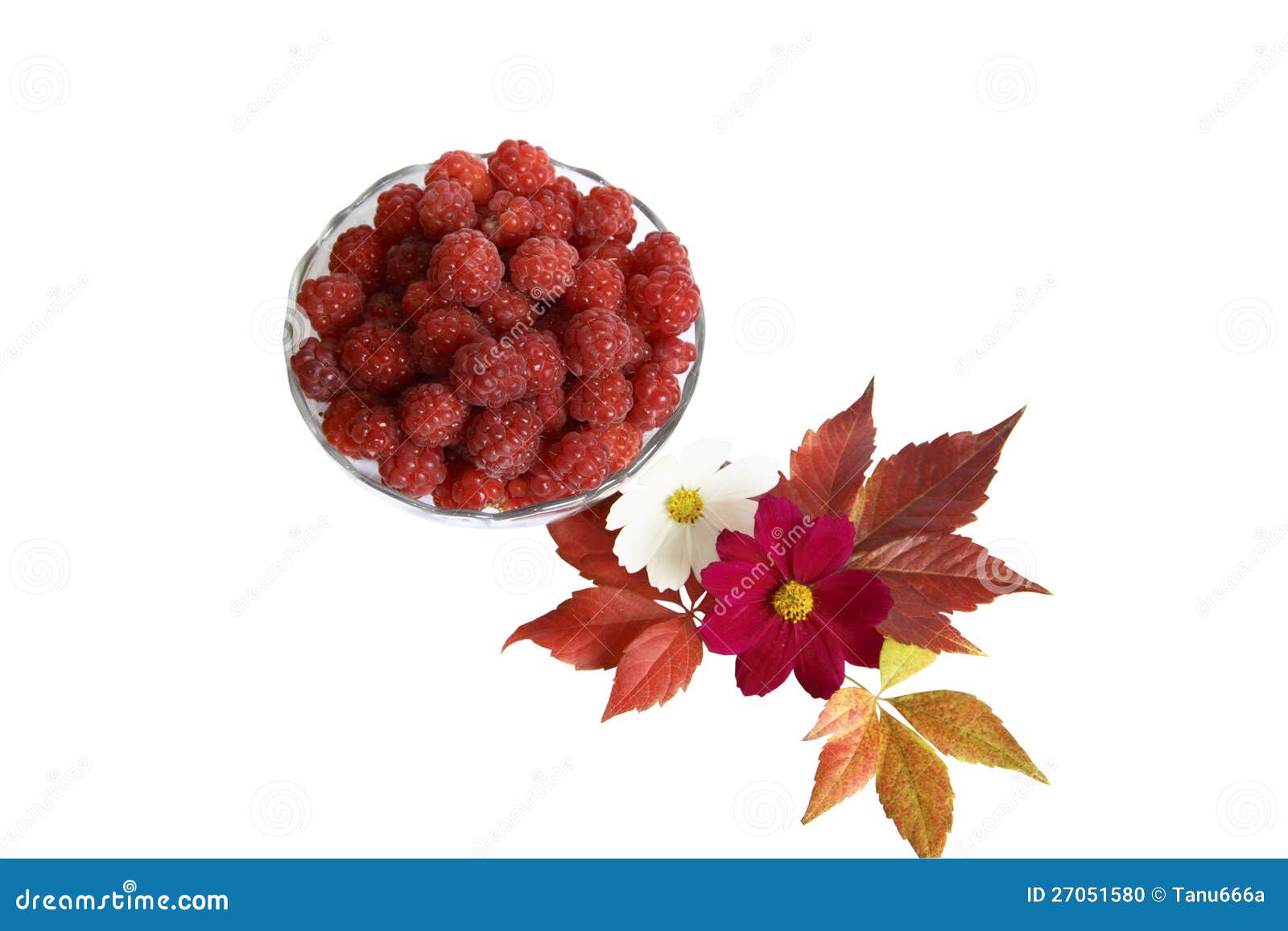 Berries of Raspberry in a Glass Vase Stock Photo - Image of feed ...