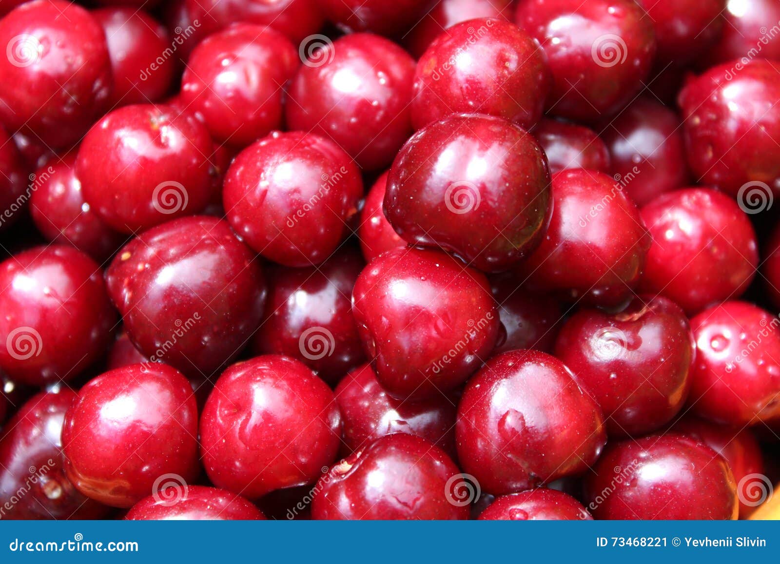 Berries red cherry stock image. Image of eating, grass - 73468221