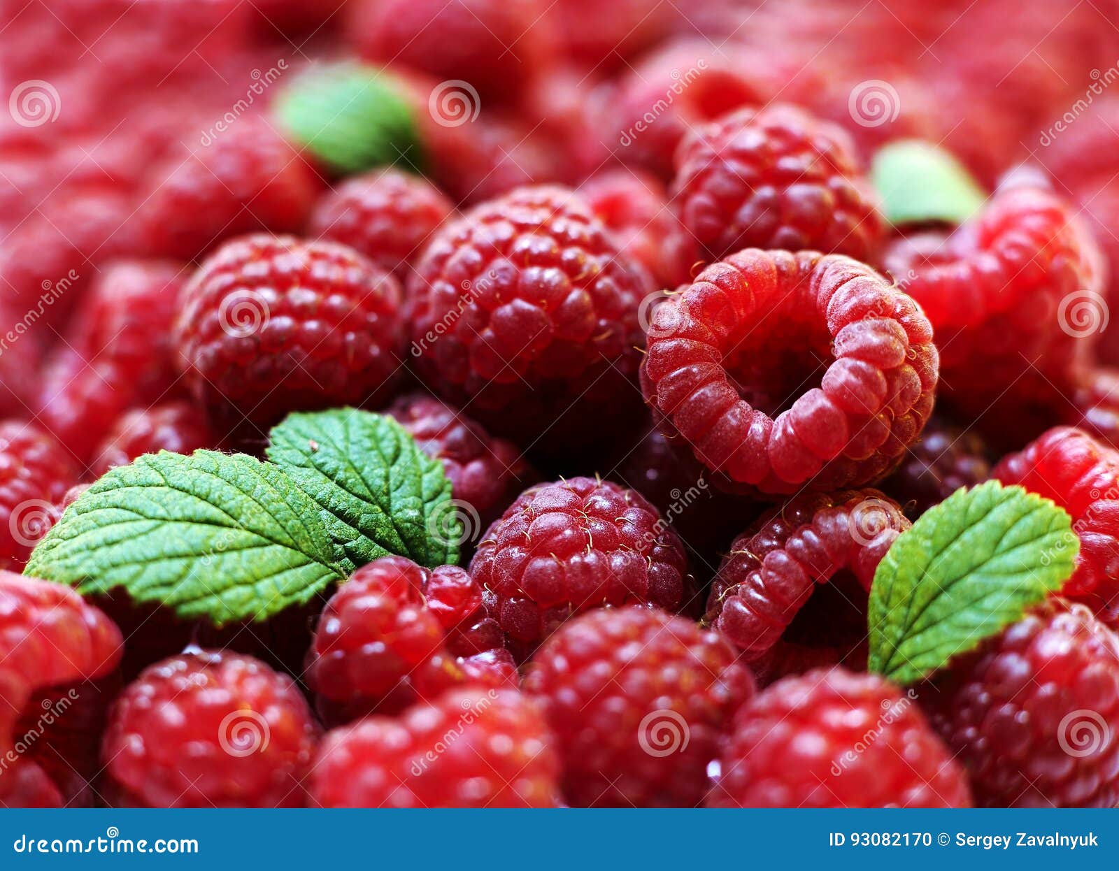 Berries of a ripe raspberr stock photo. Image of vegetarian - 93082170