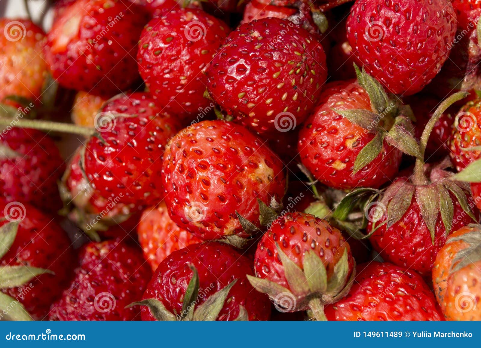 Ripe Strawberries with Tails Stock Image - Image of berries, sweet ...