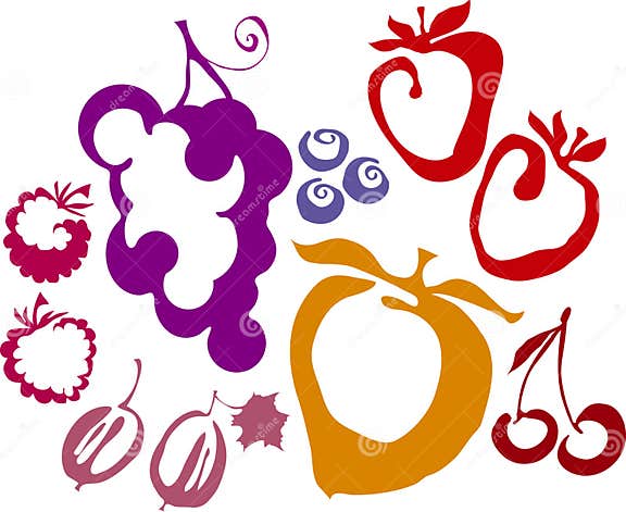 Berries set stock vector. Illustration of persimmons - 22945868