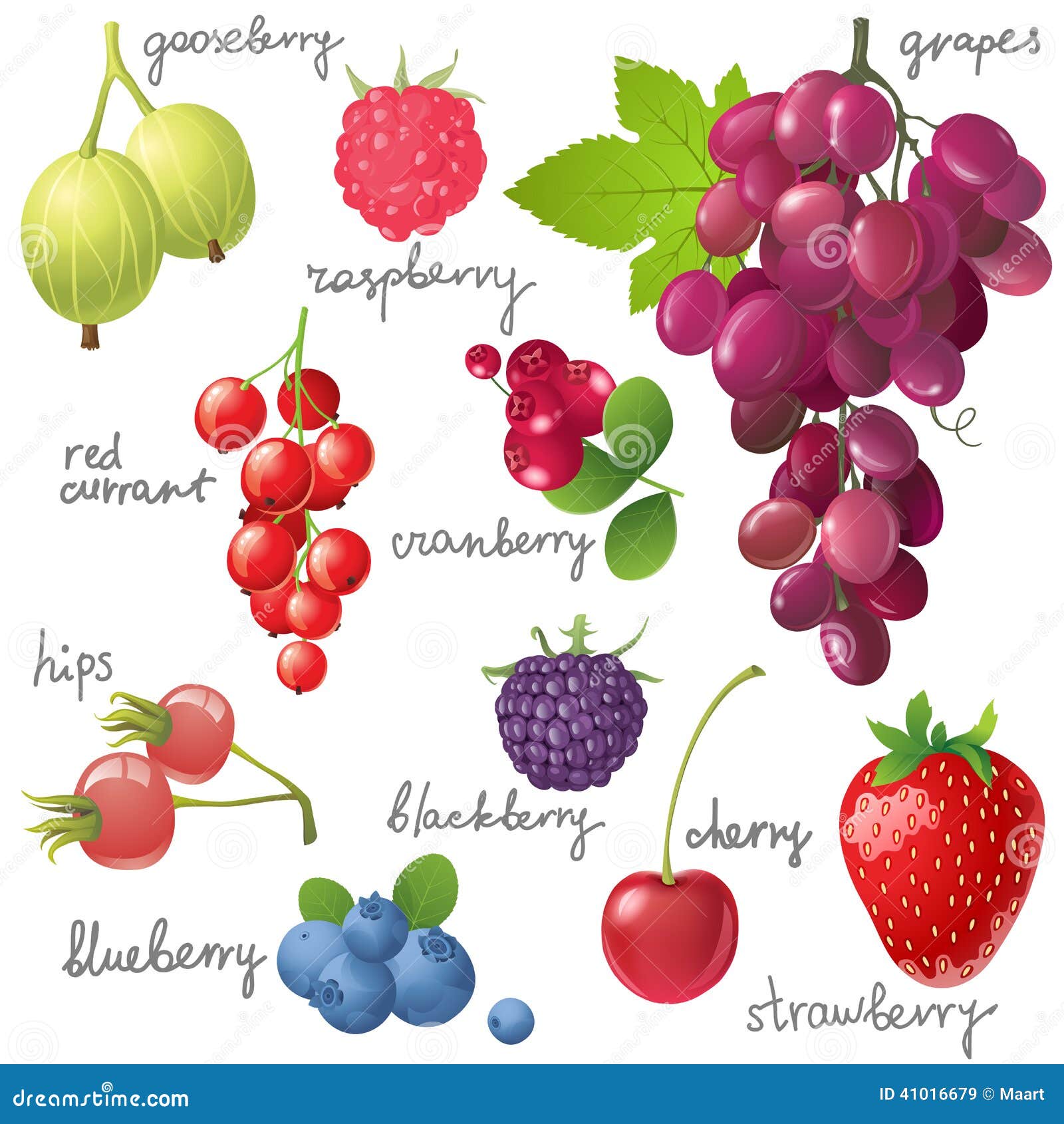 Berries Cartoons, Illustrations & Vector Stock Images - 544084 Pictures ...