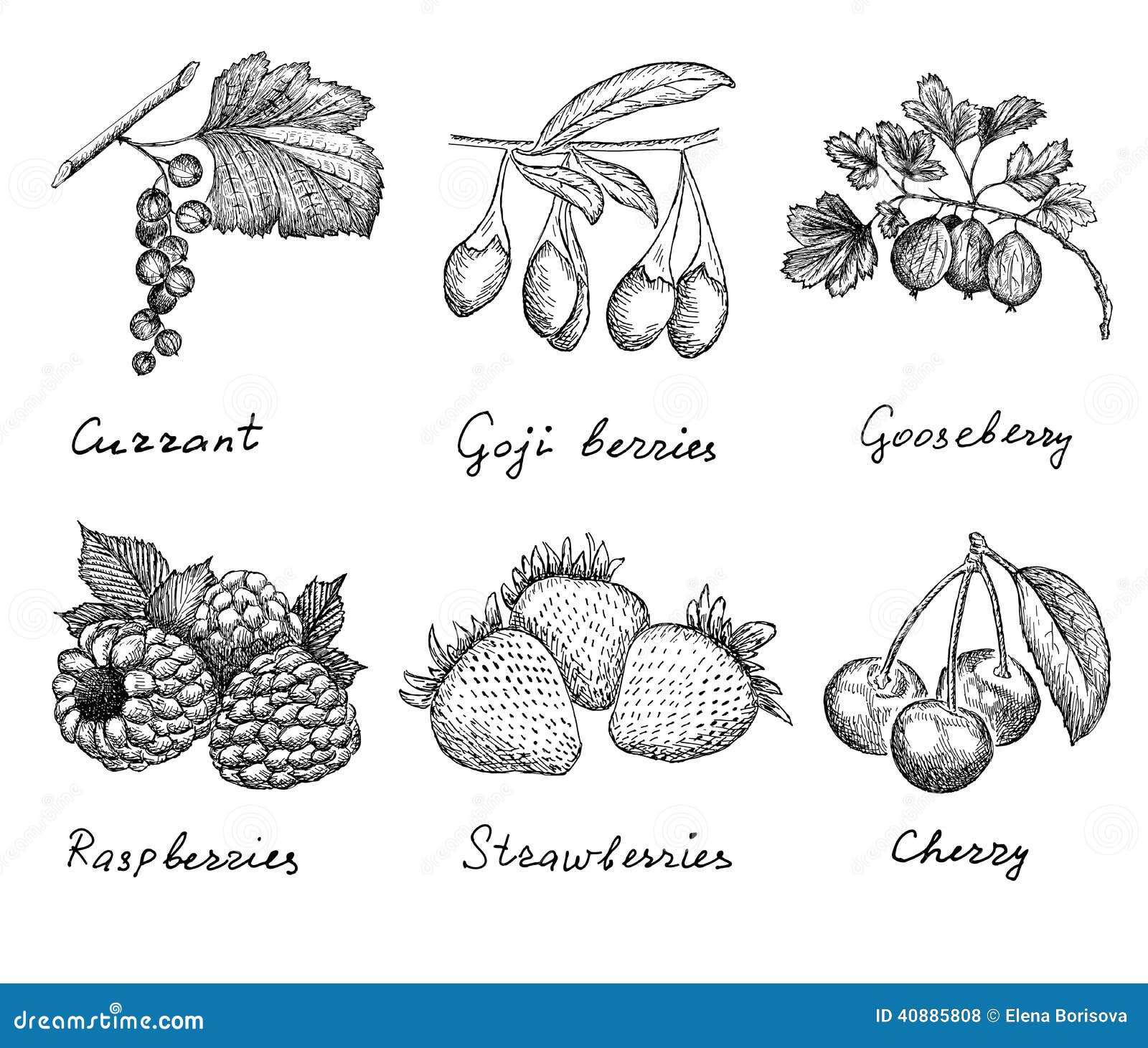 Berries set stock vector. Illustration of freshness, juicy - 40885808