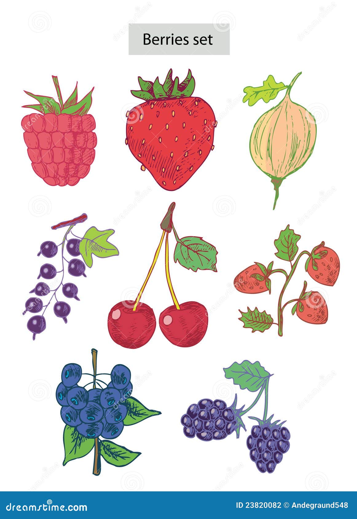 Berries Set Hand Drawn Illustrations Stock Vector - Illustration of ...