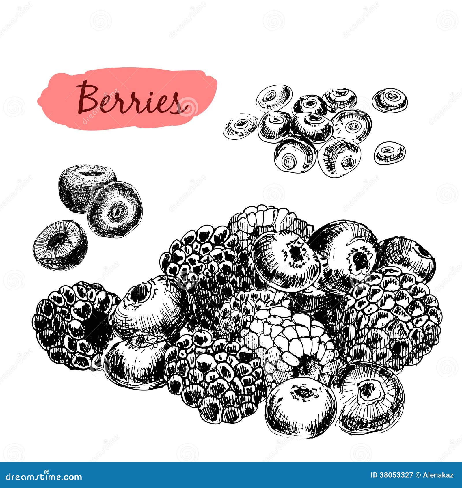 Berries. Set of Illustrations Stock Vector - Illustration of eating ...