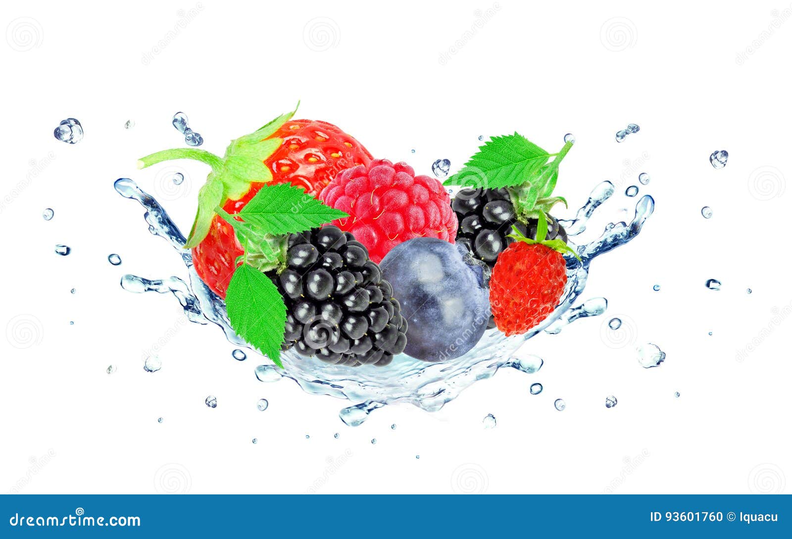 Berries splash stock photo. Image of ripe, drop, healthy - 93601760