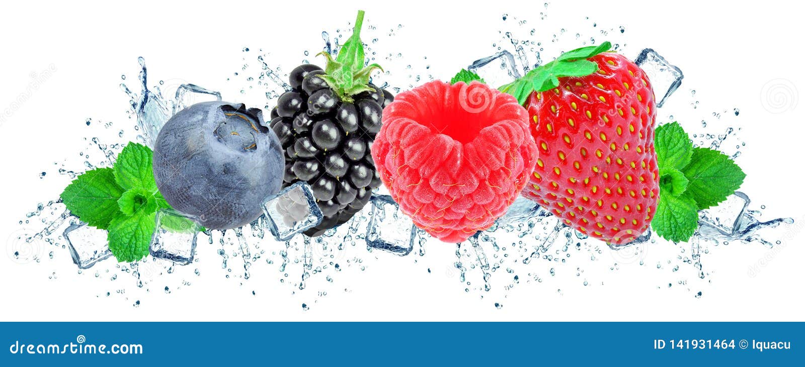 Berries splash water stock photo. Image of vitamin, cubes - 141931464