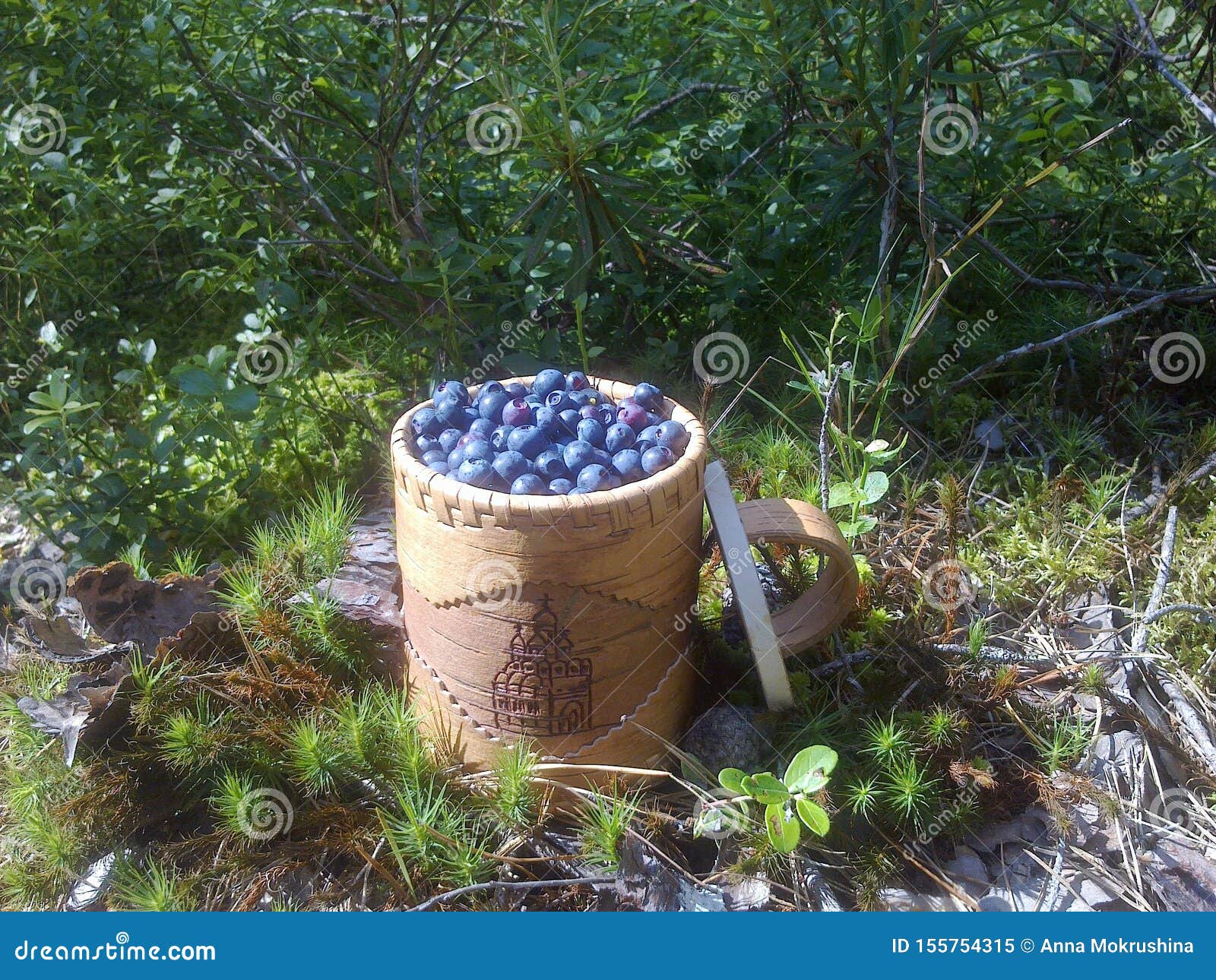 Berries in Tuesk on the Moss Stock Image - Image of berries ...