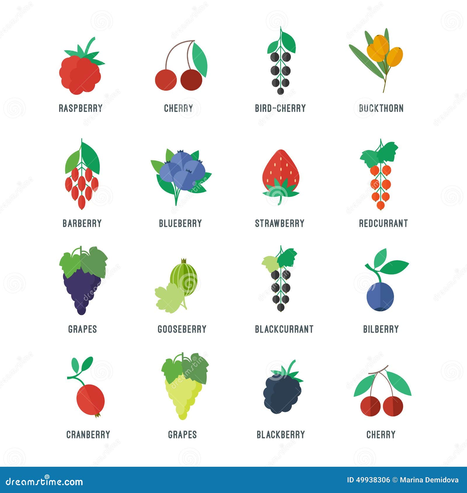 Berries vector icons set stock vector. Illustration of healthy - 49938306
