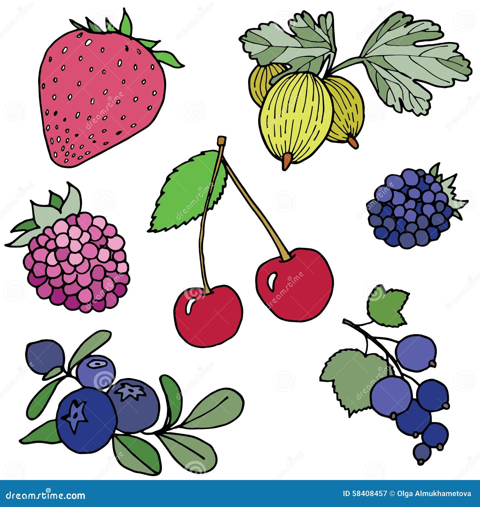 Berries stock vector. Illustration of summer, nature - 58408457