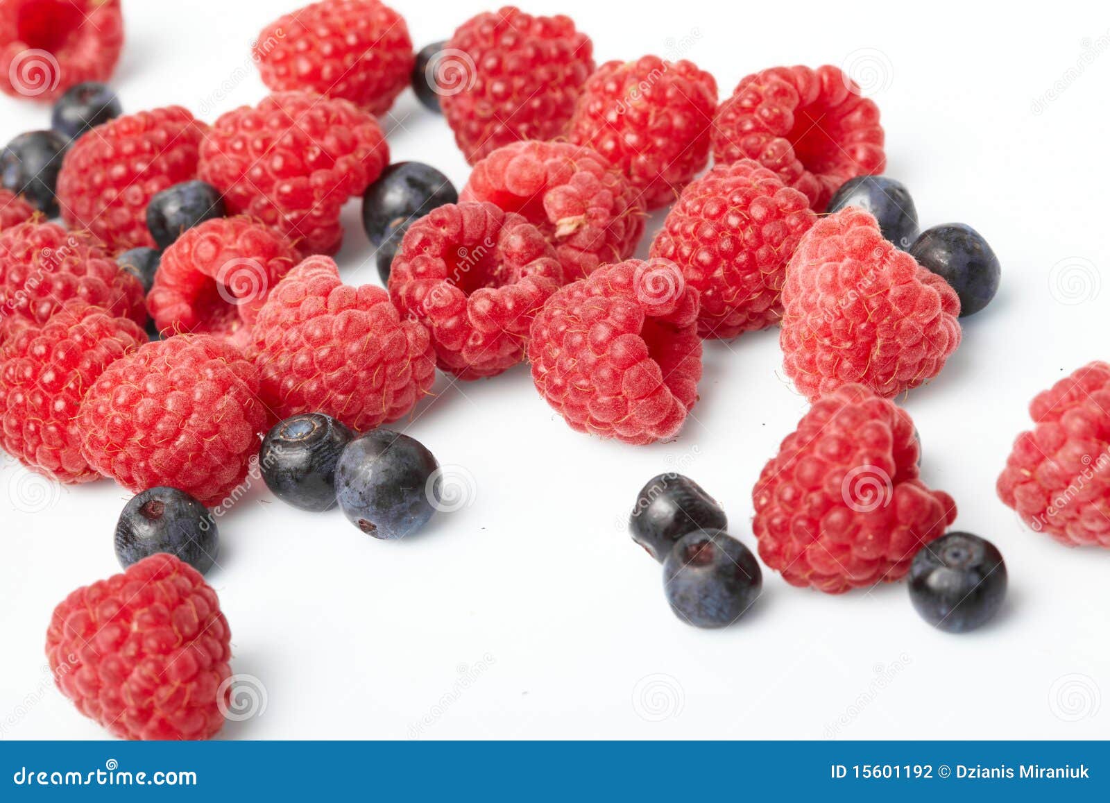Berries on White Background Stock Photo - Image of bilberry, freshness ...