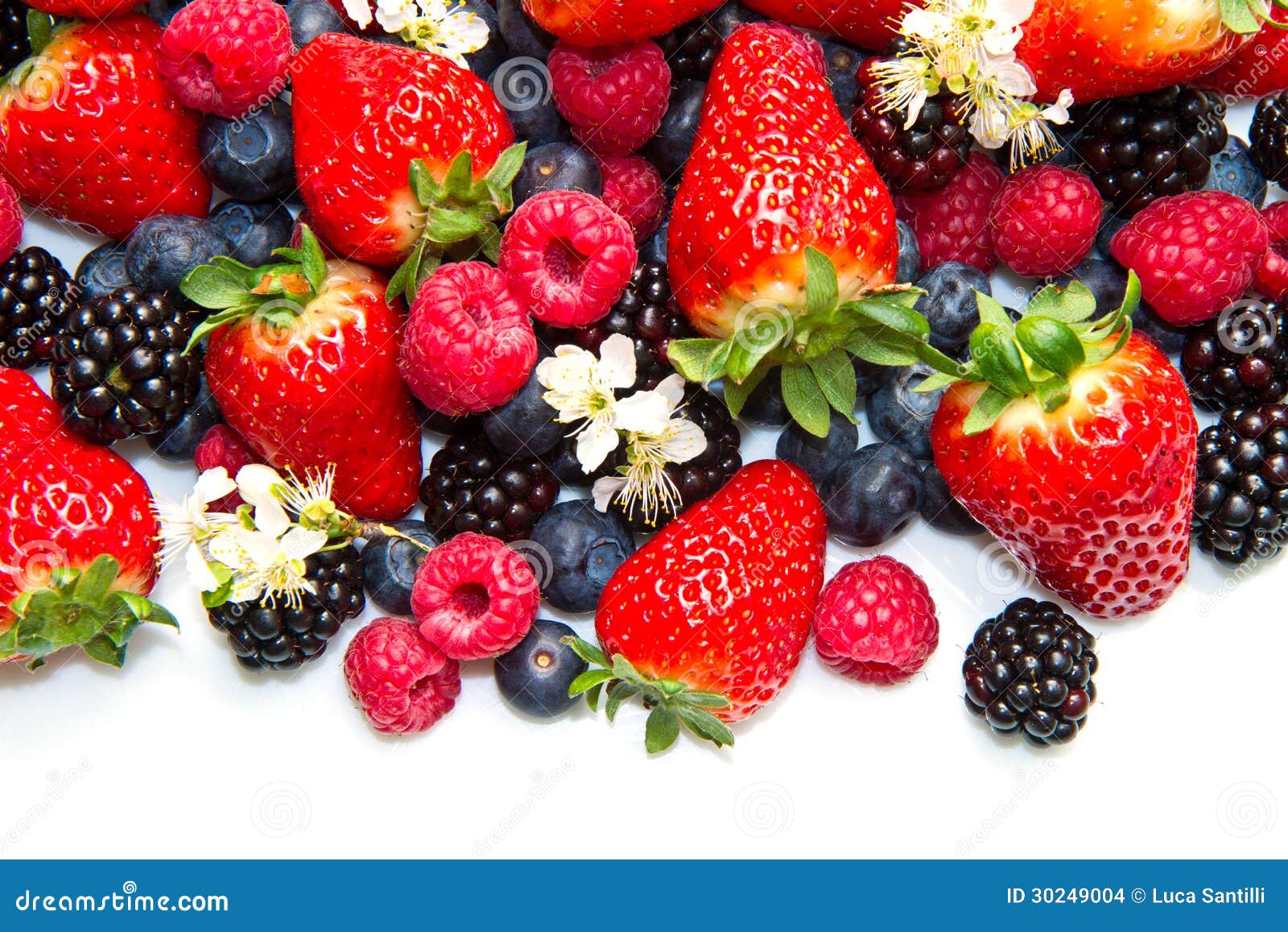 Berries on White Background Stock Photo - Image of market, close: 30249004