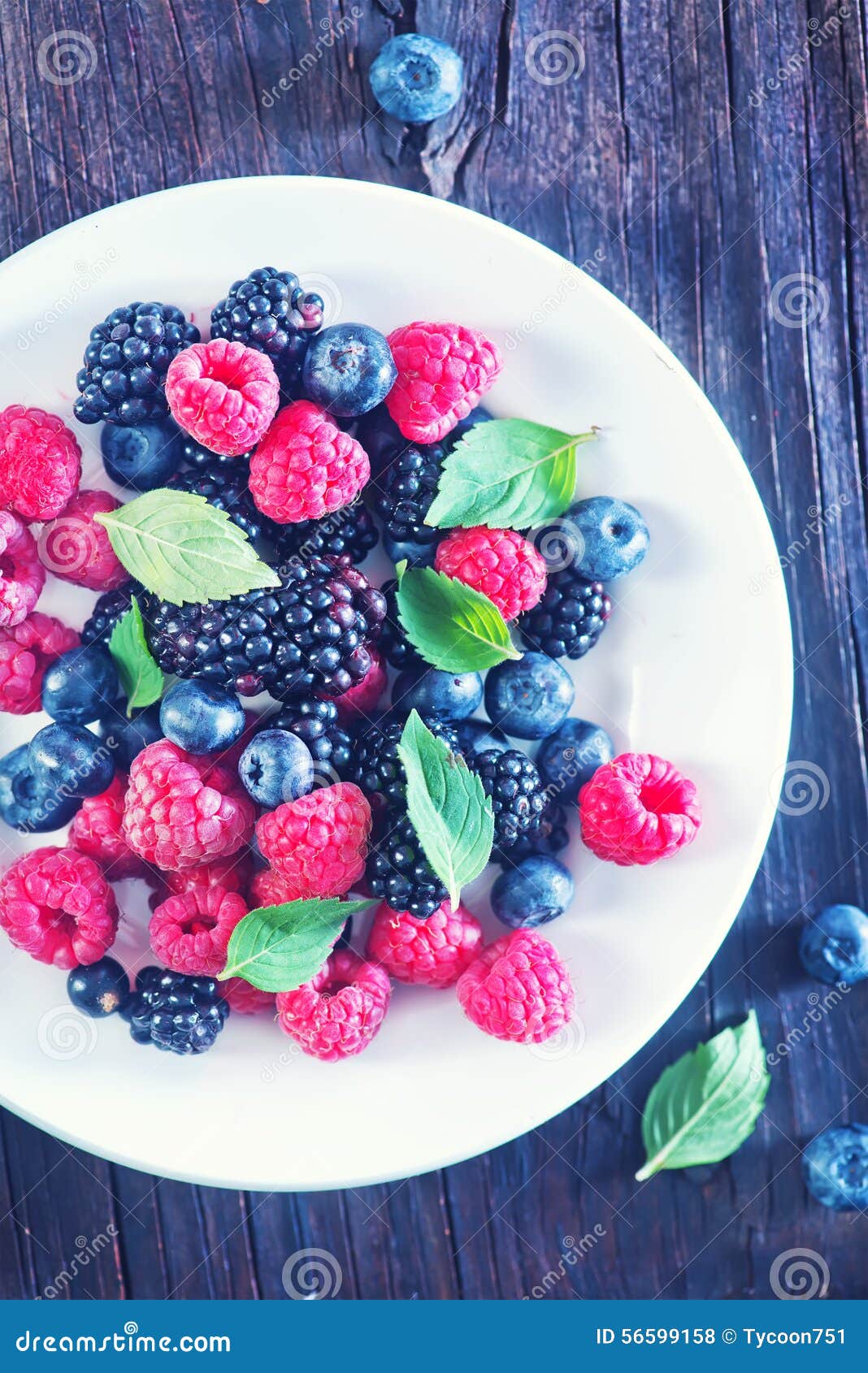 Berries stock photo. Image of close, dessert, natural - 56599158