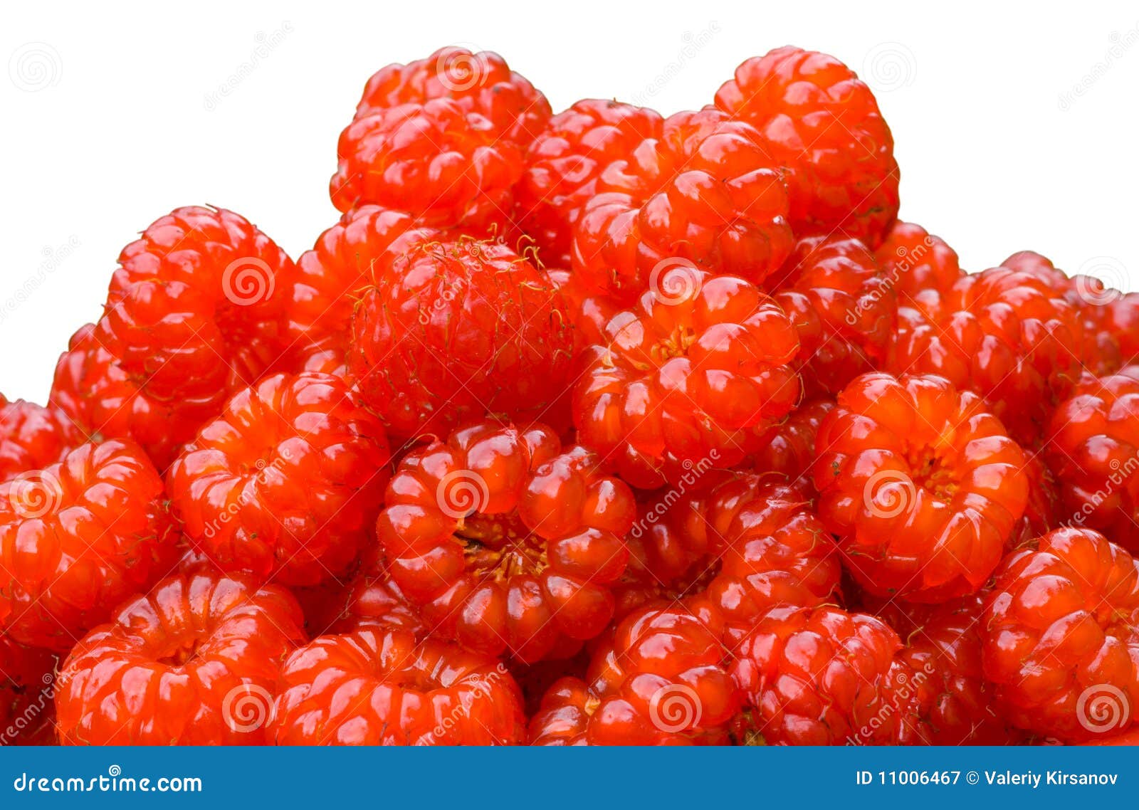 Berries of Wild Raspberry 5 Stock Image - Image of garden, nature: 11006467