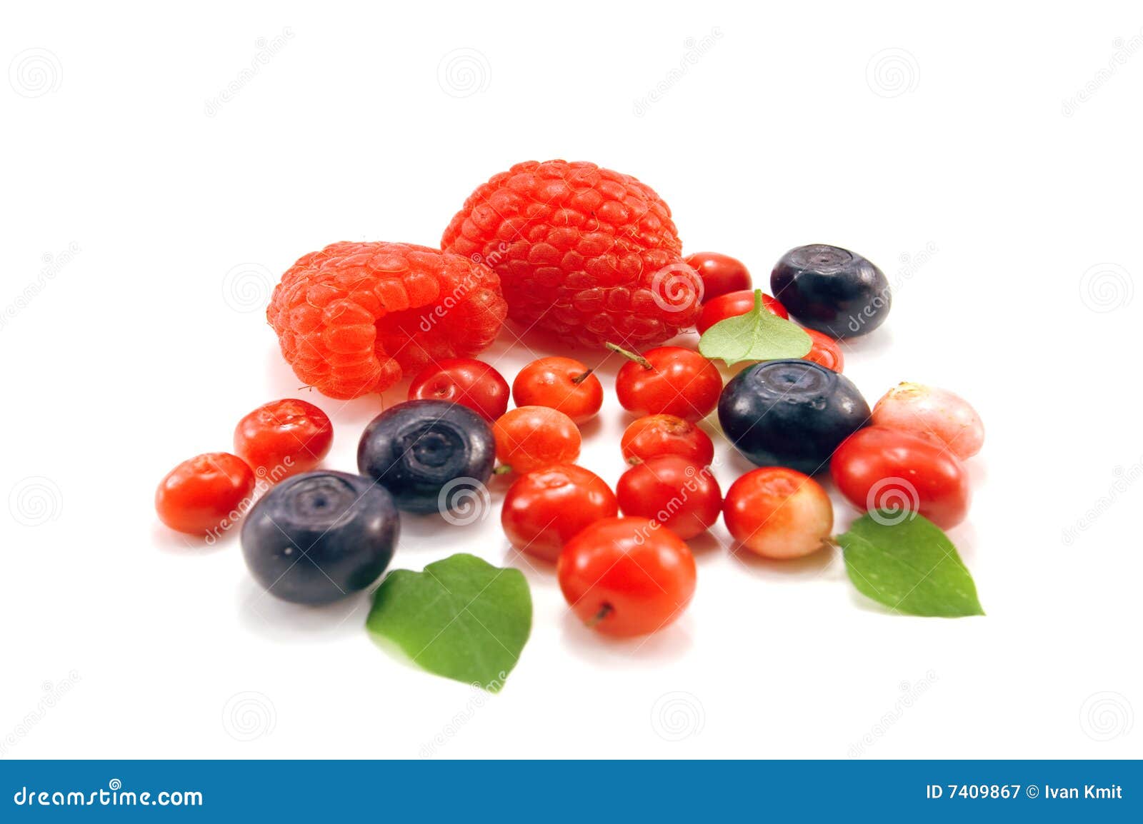Berry stock image. Image of white, nutrition, healthy - 7409867