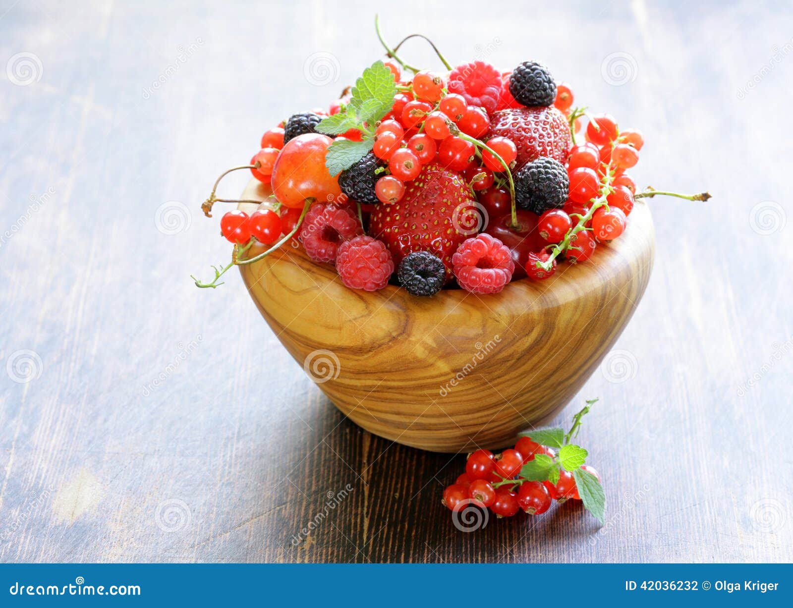 Berry assortment stock photo. Image of group, nature - 42036232