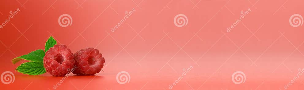 Berry banner stock image. Image of life, raspberry, flavor - 5923839