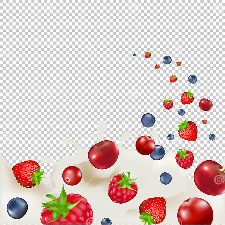 Berry Borders with Transparent Background Stock Vector - Illustration ...