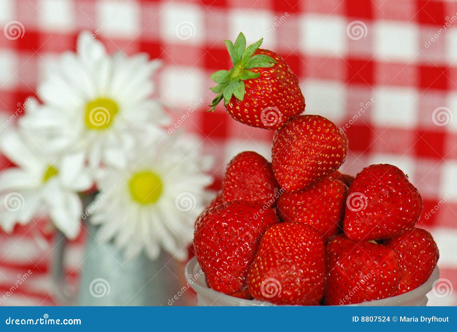 Berry Bright stock photo. Image of delicious, food, fruit - 8807524