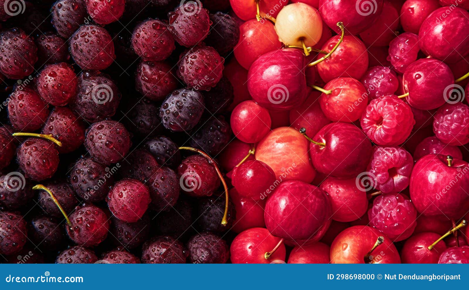 Berry Burst Gradient Blurs Rich Plum To Vibrant Raspberry Stock ...