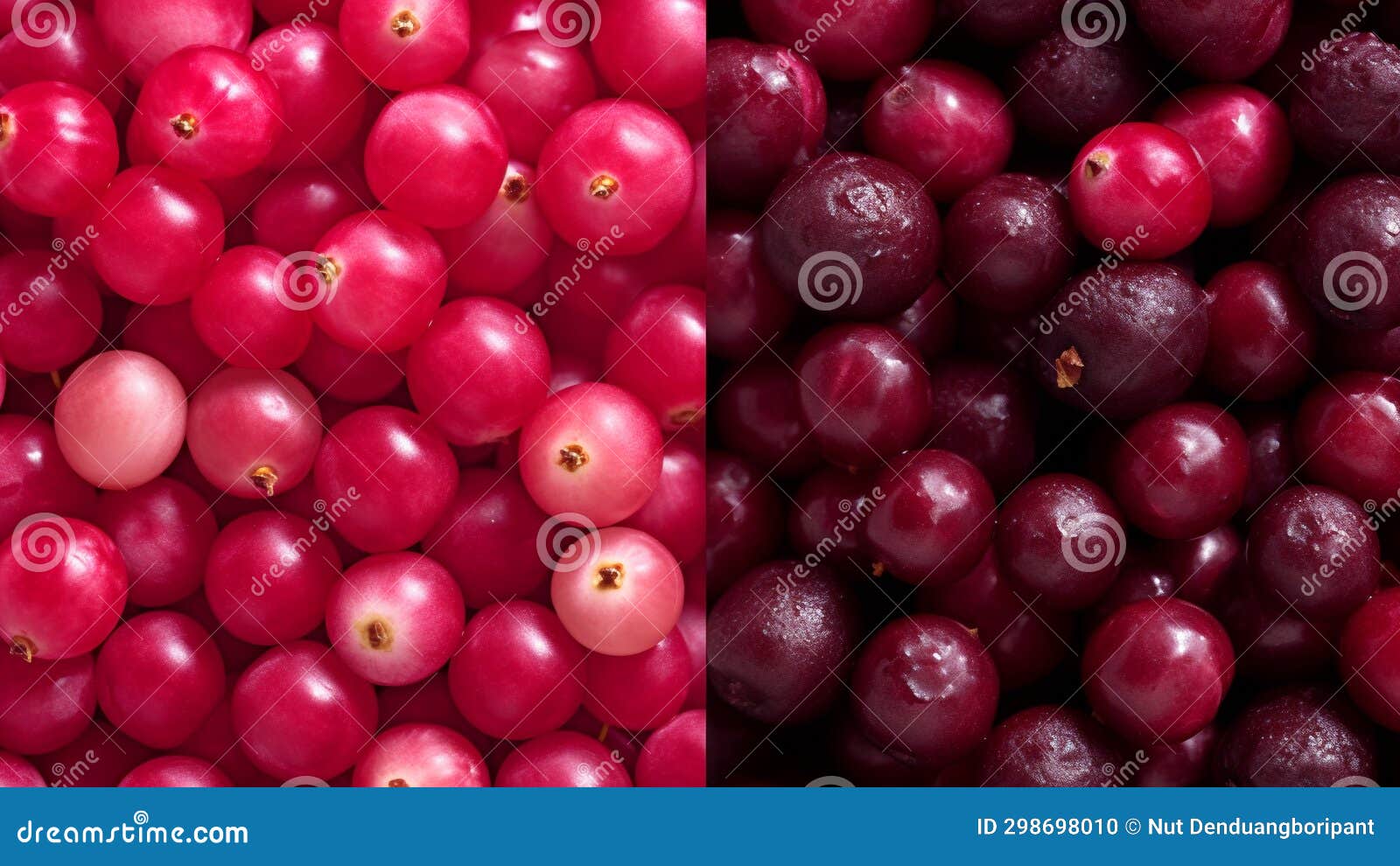 Berry Burst Gradient Blurs Rich Plum To Vibrant Raspberry Stock ...