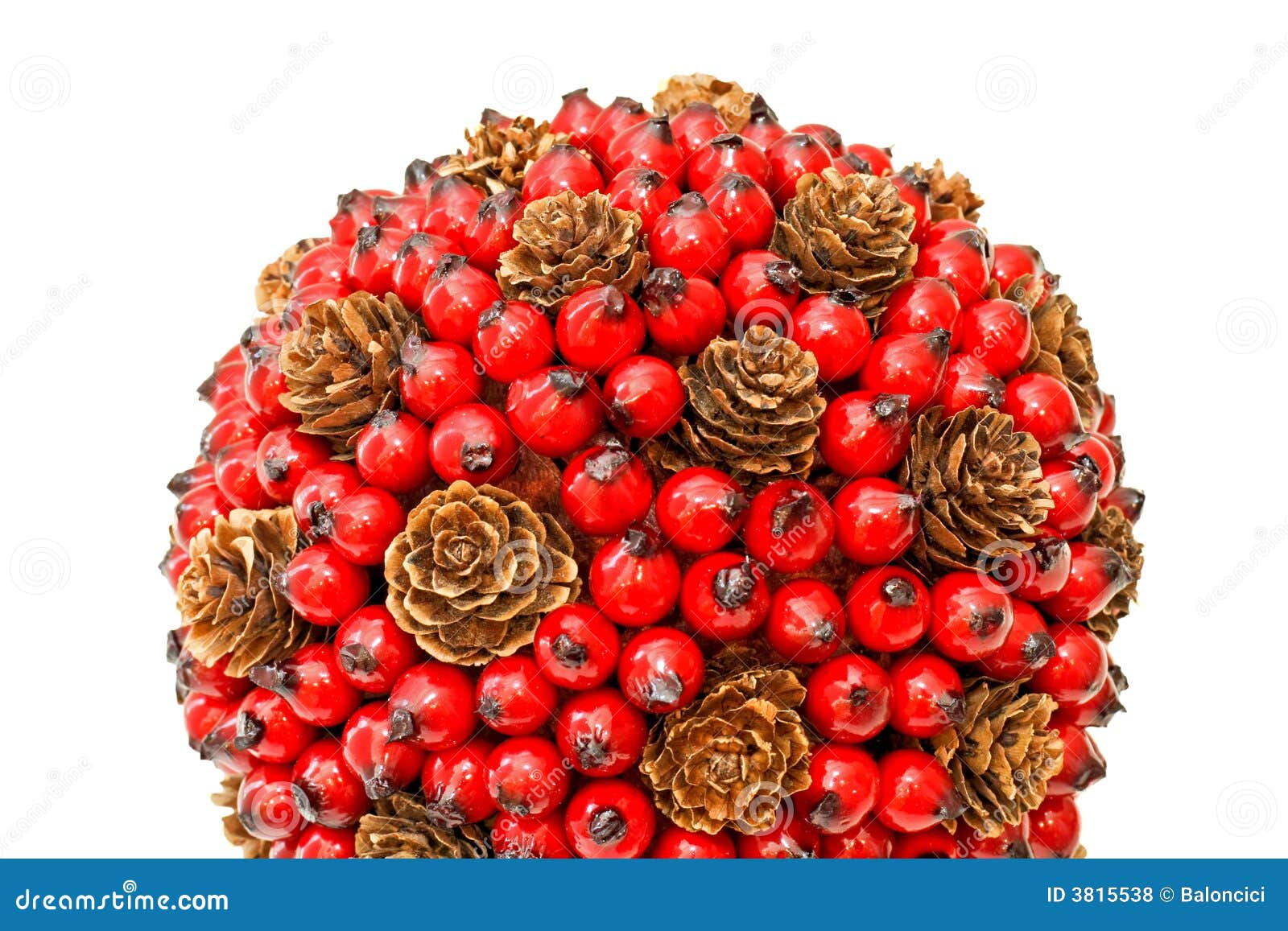 Berry And Cones Picture. Image: 3815538